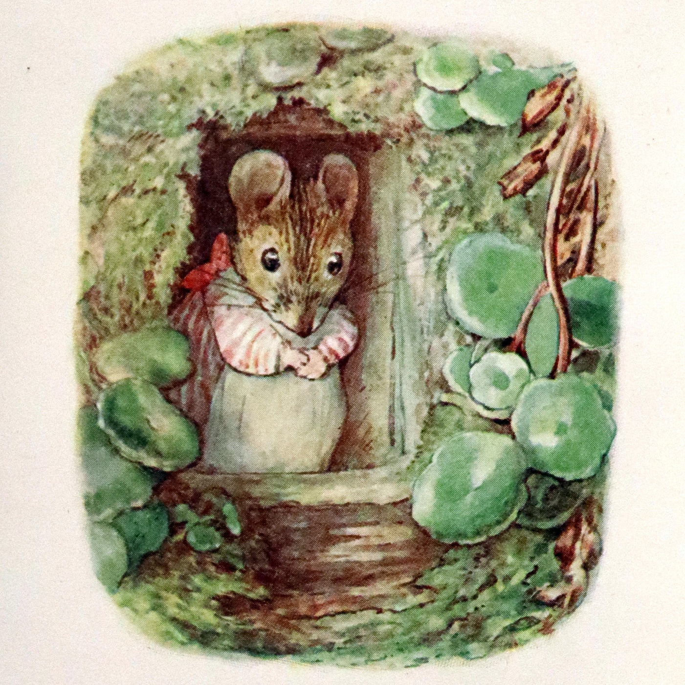 1910 Rare First Edition - The Tale of Mrs. Tittlemouse by Beatrix ...