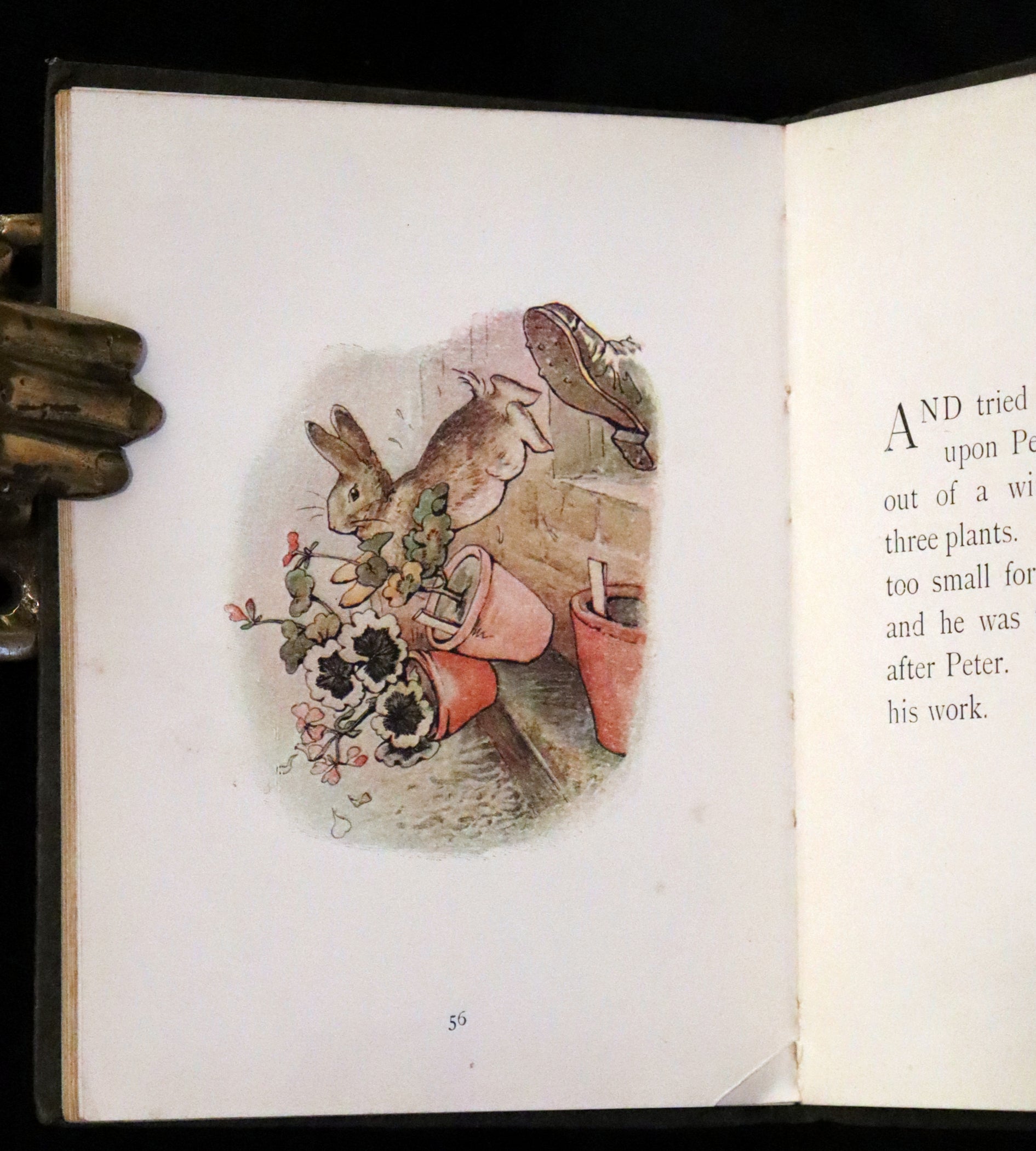 1910 Rare Edition - THE TALE OF PETER RABBIT illustrated by Beatrix ...
