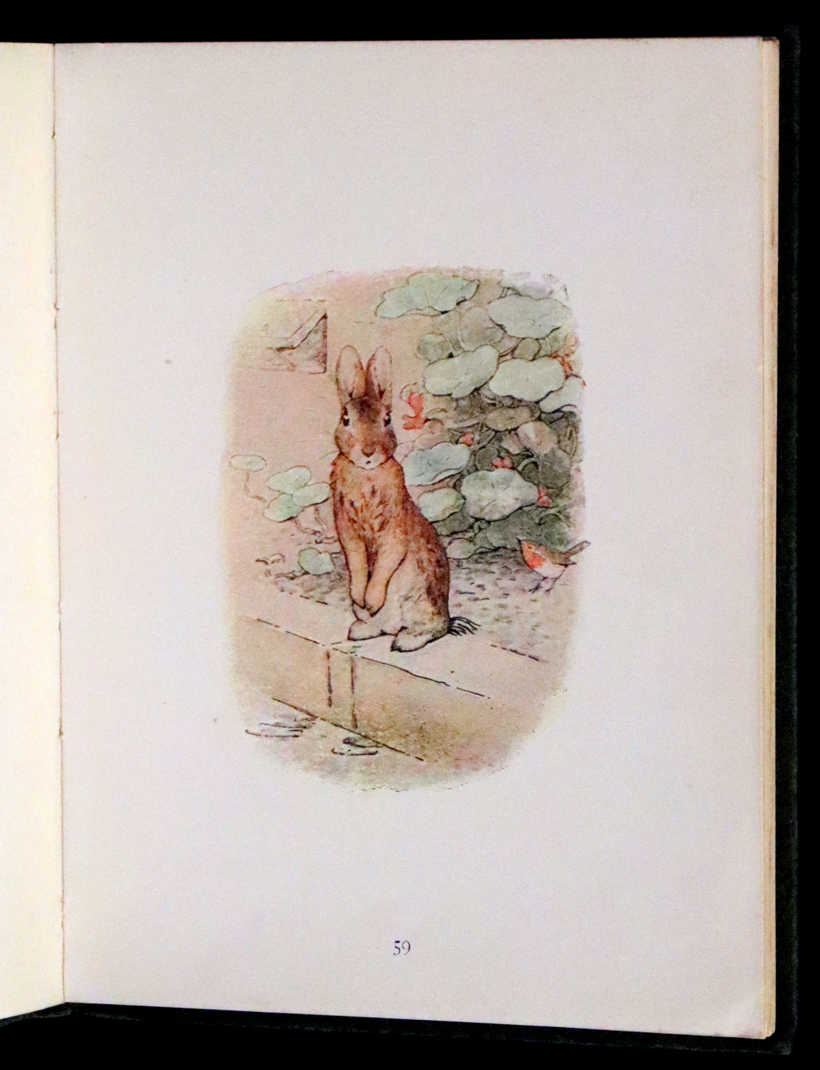 1910 Rare Edition - THE TALE OF PETER RABBIT illustrated by Beatrix ...