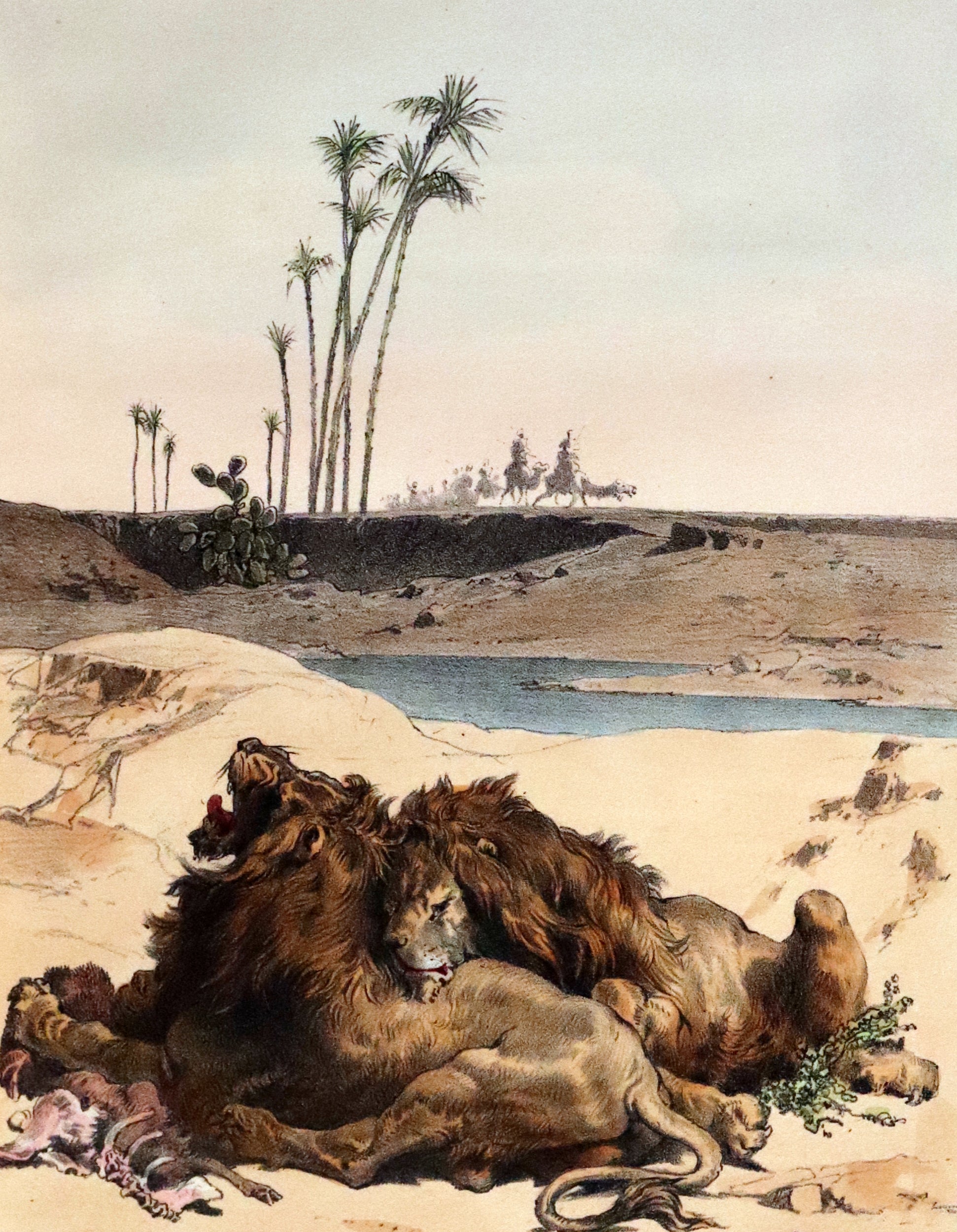 1870 Rare French Ballooning Book - Adventures of Paul Abducted by a Ba — MFLIBRA - Antique Books