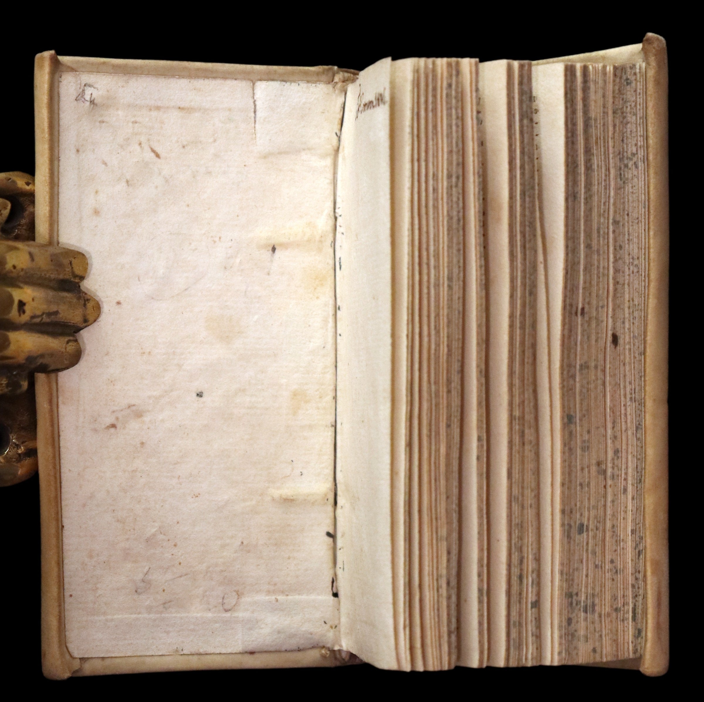 1650 Rare Latin Vellum Book - Valerius Maximus' Stories of Roman life ...