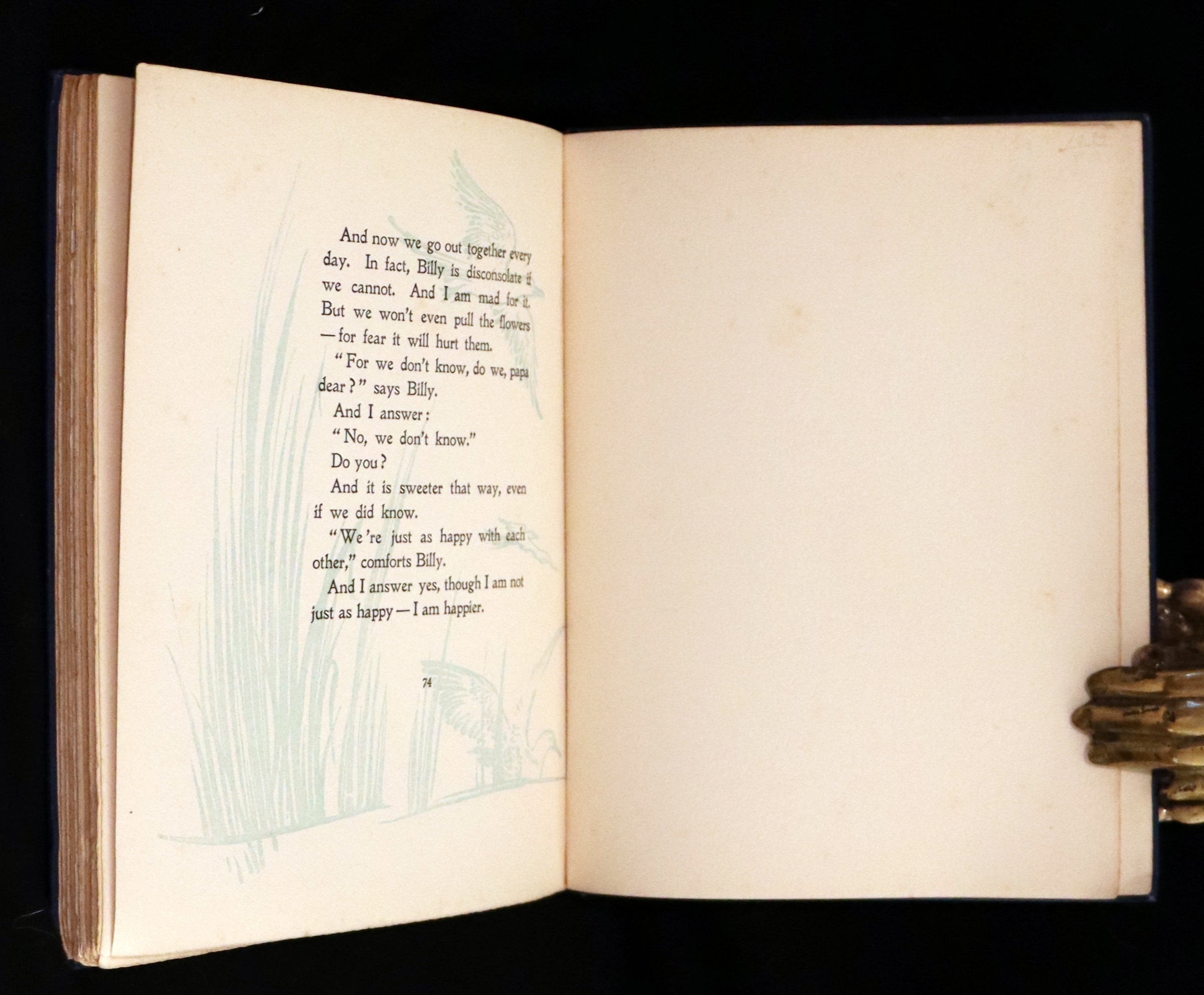 1906 Rare First Edition - Billy-Boy by John Luther Long, Illustrated by ...