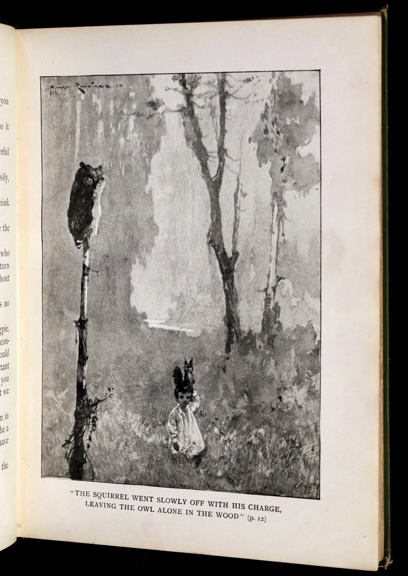 1909 Rare First Edition - The Forest Foundling by Sam Hield Hamer ...