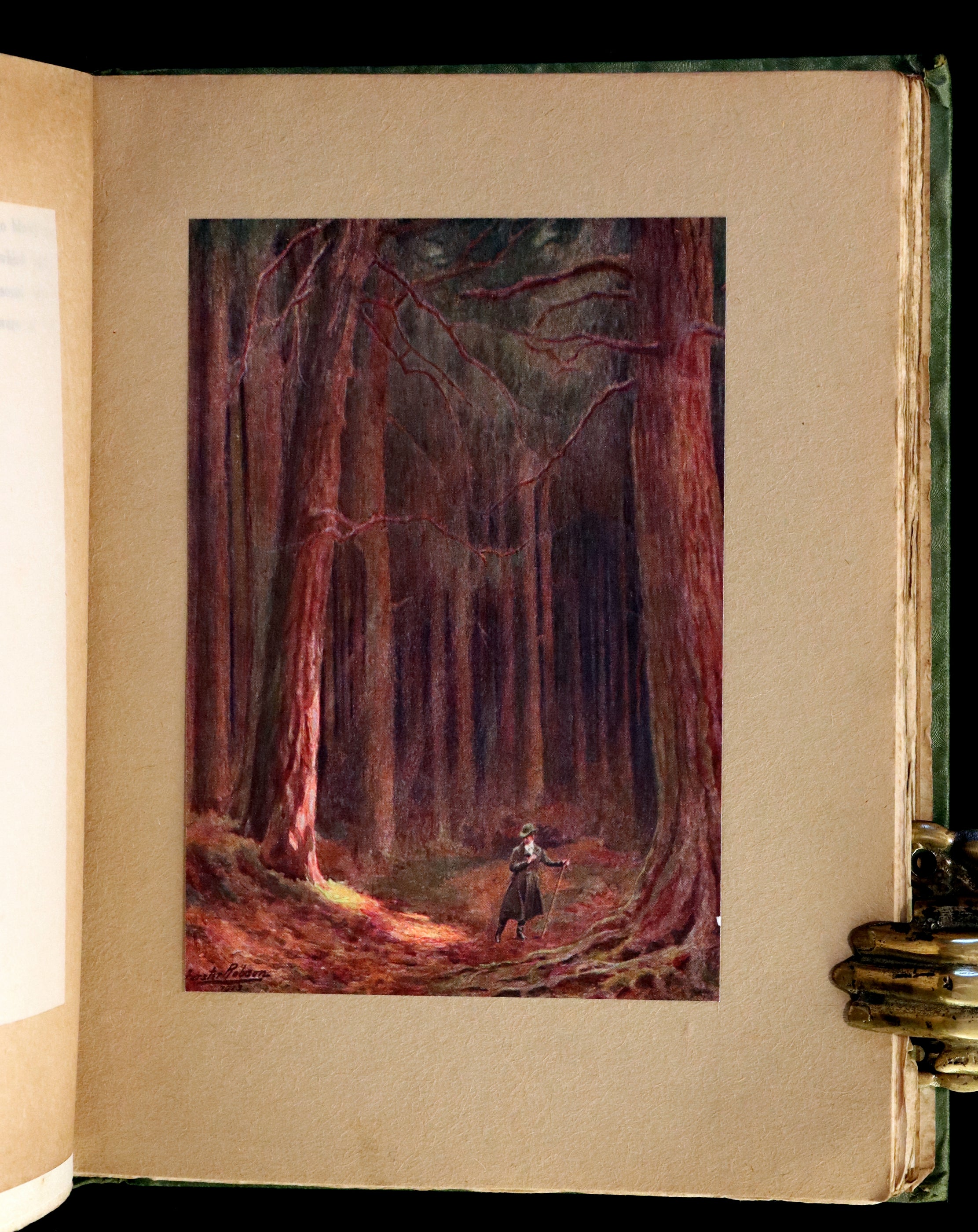 1913 Rare First Edition illustrated by Forster Robson - The Marvellous ...