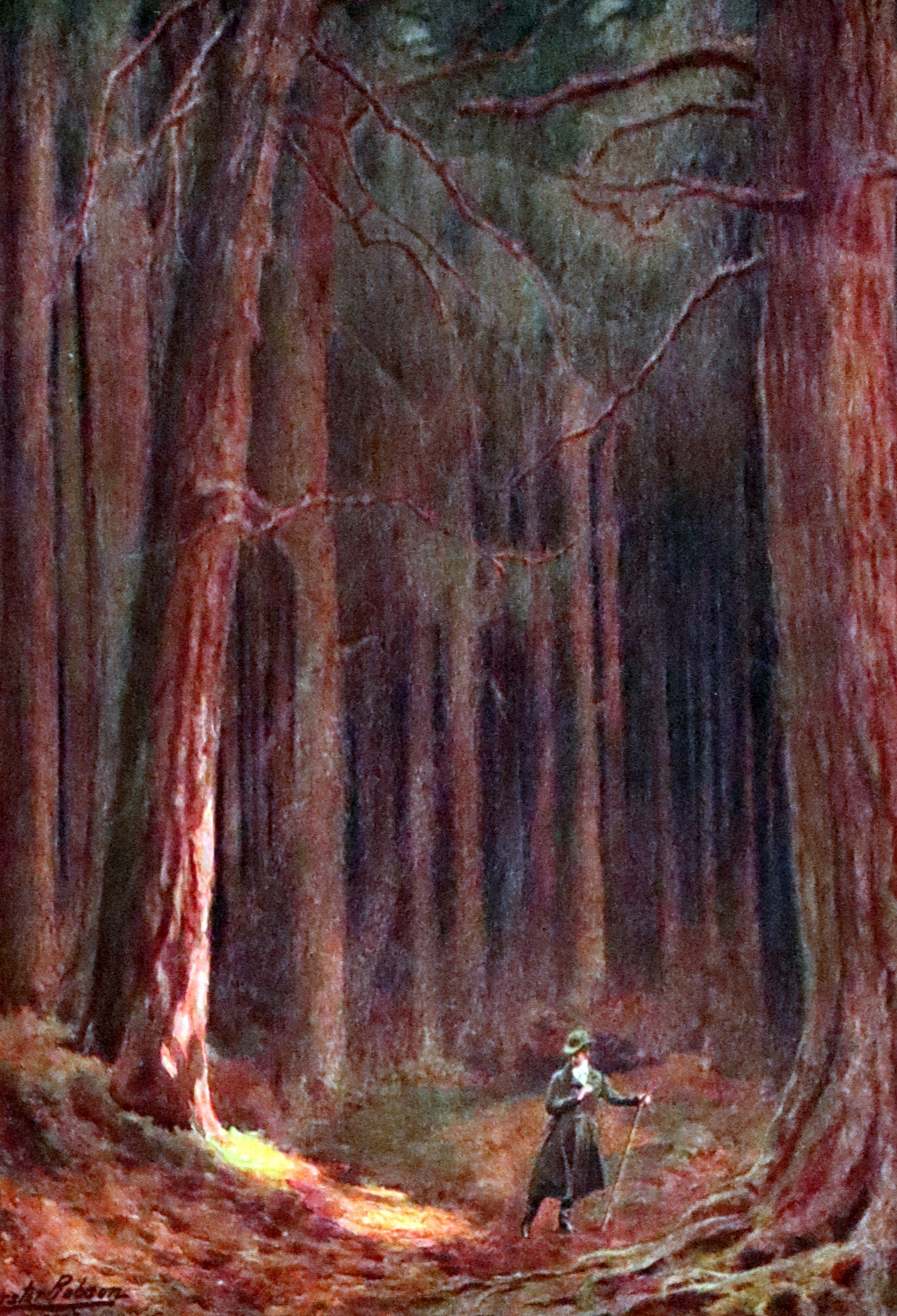 1913 Rare First Edition illustrated by Forster Robson - The Marvellous ...