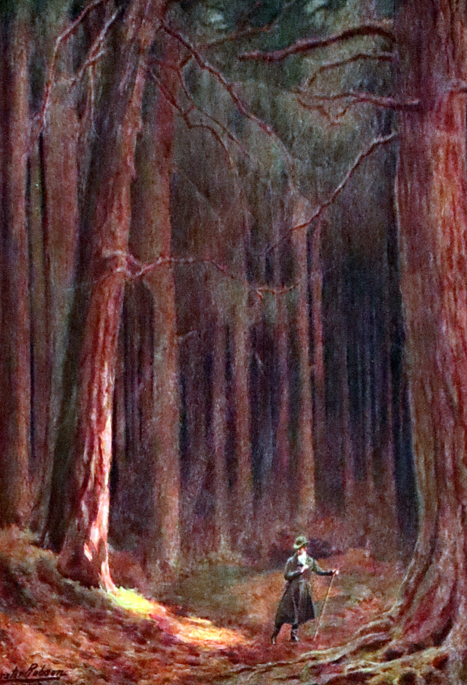 1913 Rare First Edition illustrated by Forster Robson - The Marvellous ...