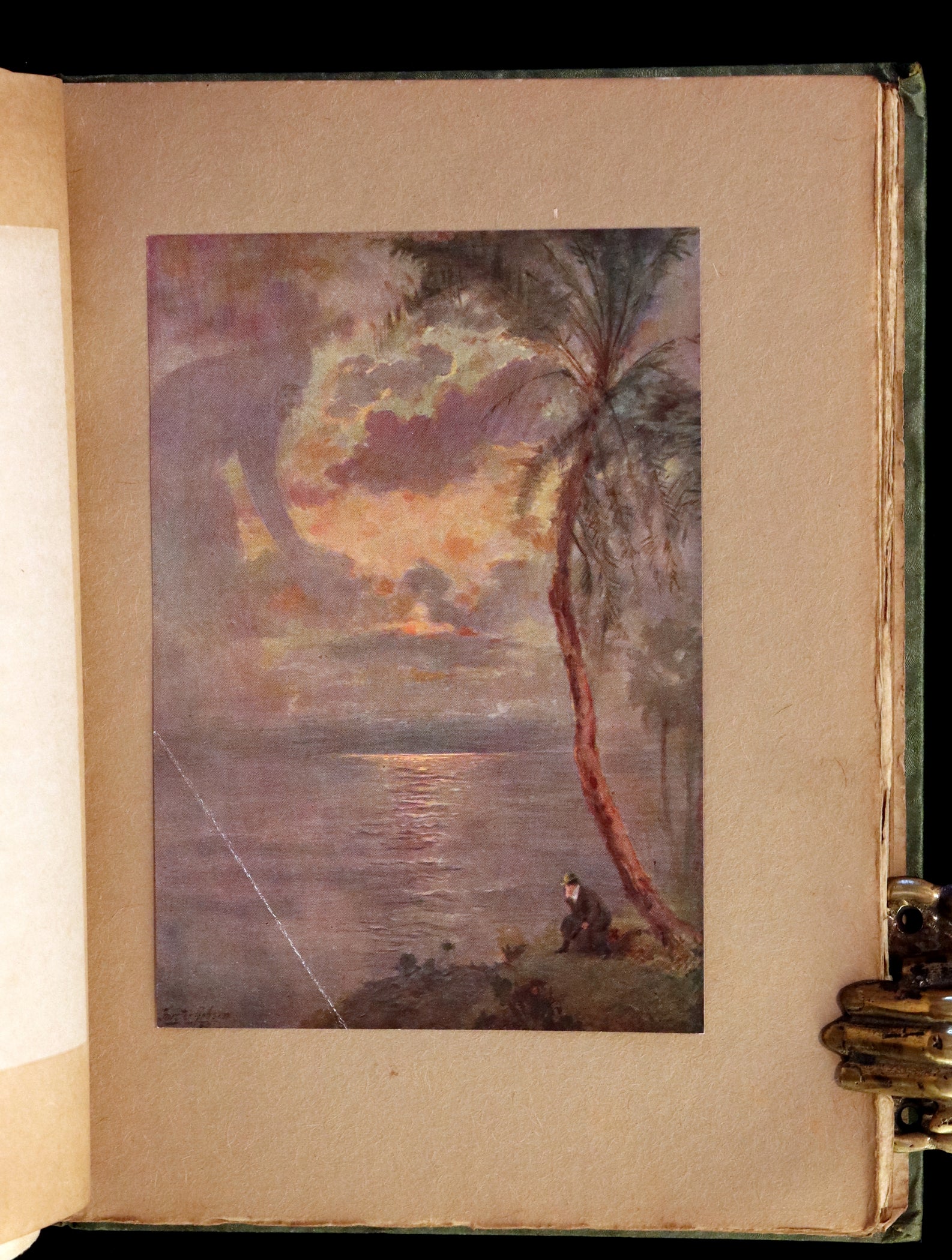 1913 Rare First Edition illustrated by Forster Robson - The Marvellous ...