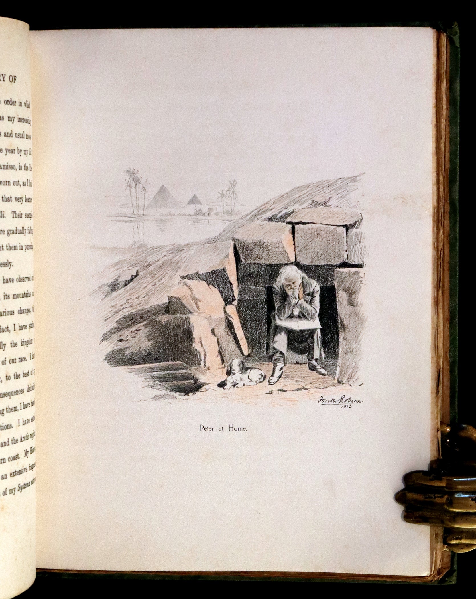 1913 Rare First Edition illustrated by Forster Robson - The Marvellous ...