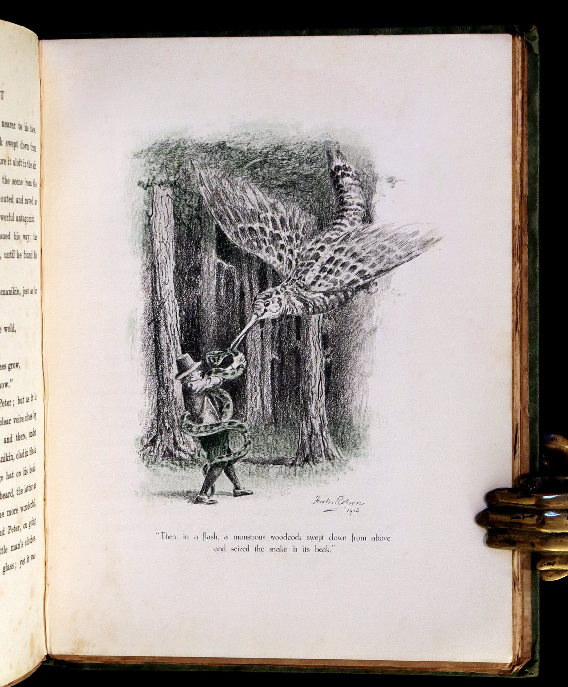 1913 Rare First Edition illustrated by Forster Robson - The Marvellous ...