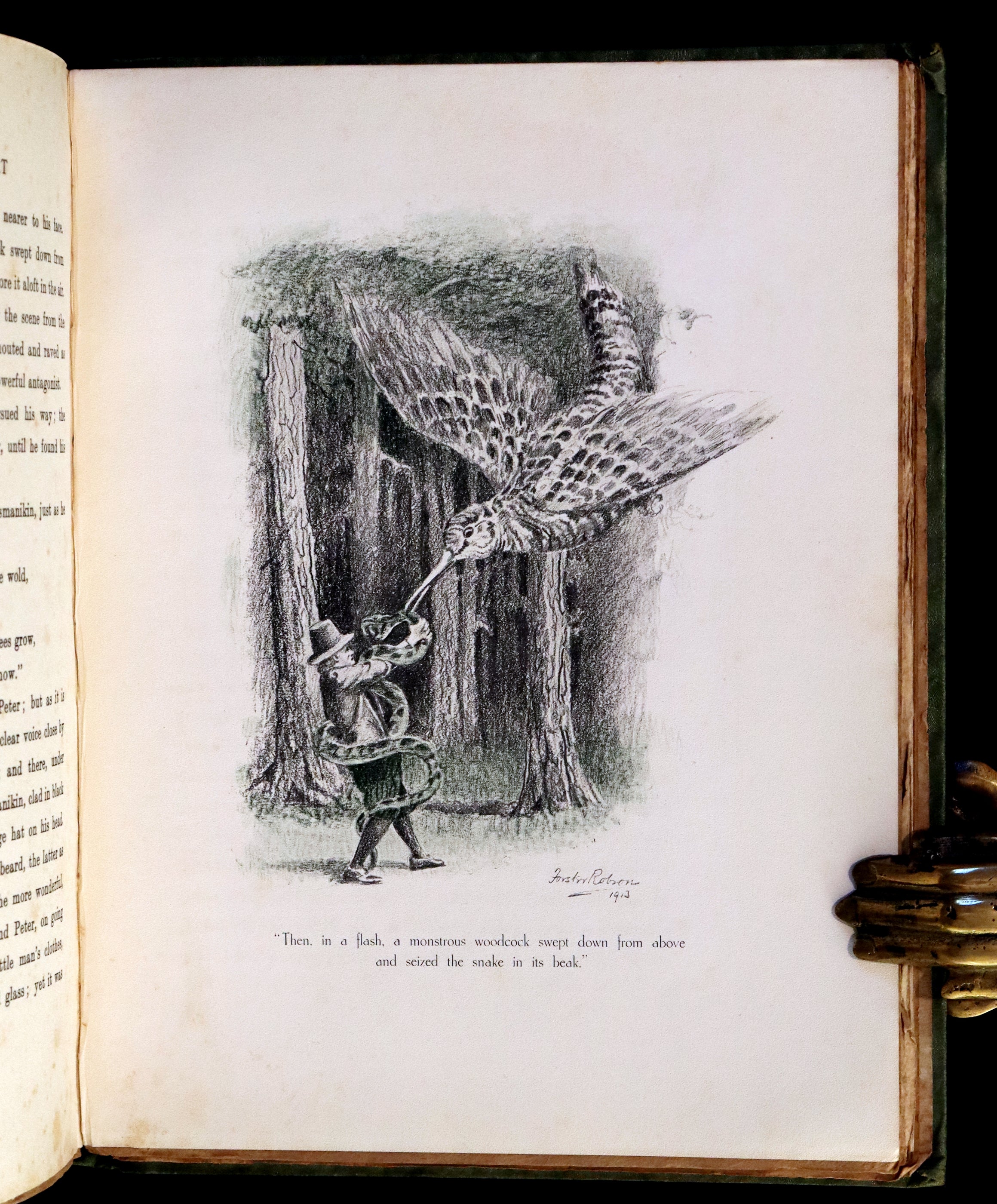 1913 Rare First Edition illustrated by Forster Robson - The Marvellous ...