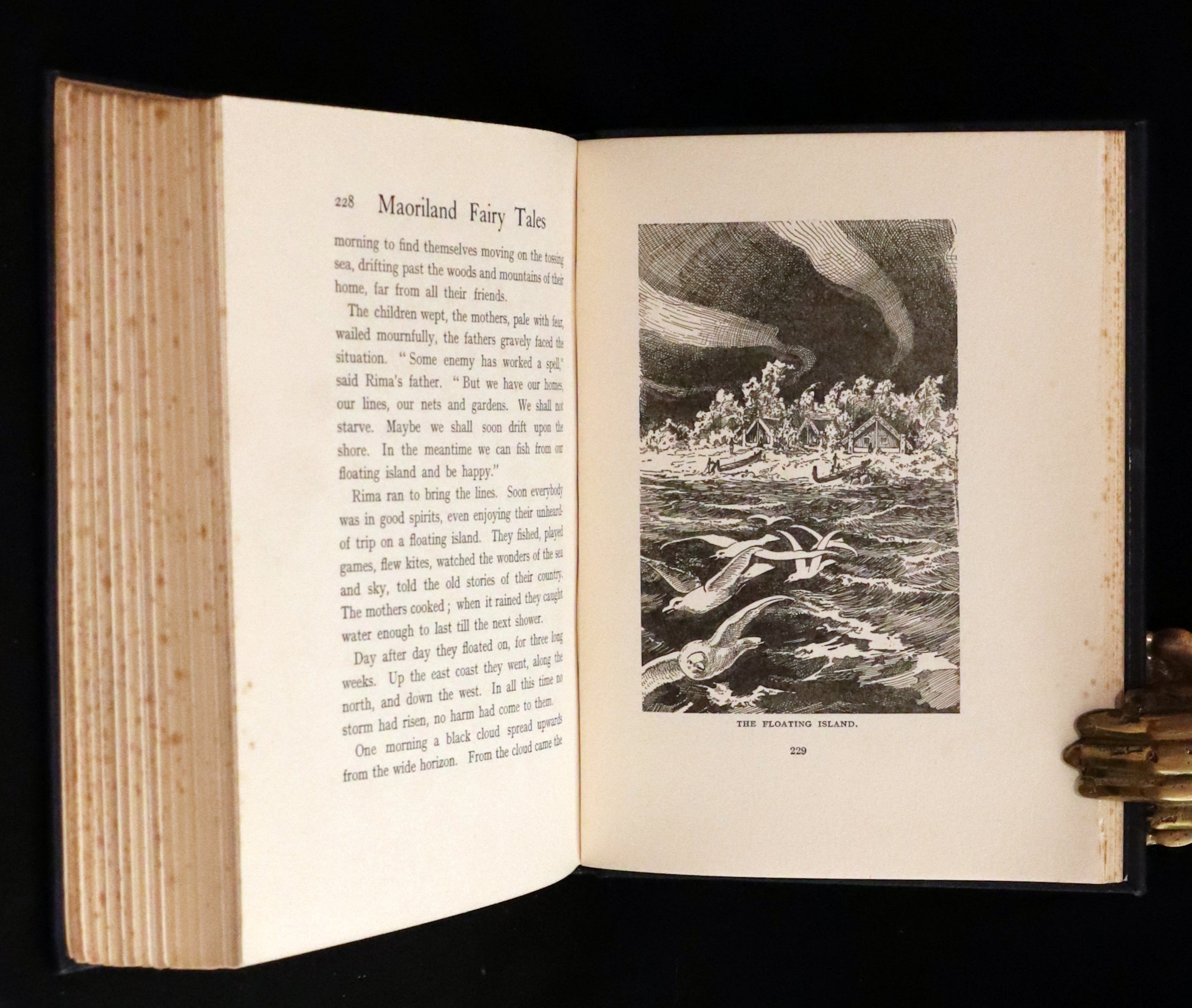 1913 Rare First Edition - MAORILAND FAIRY TALES by Edith Howes - New ...