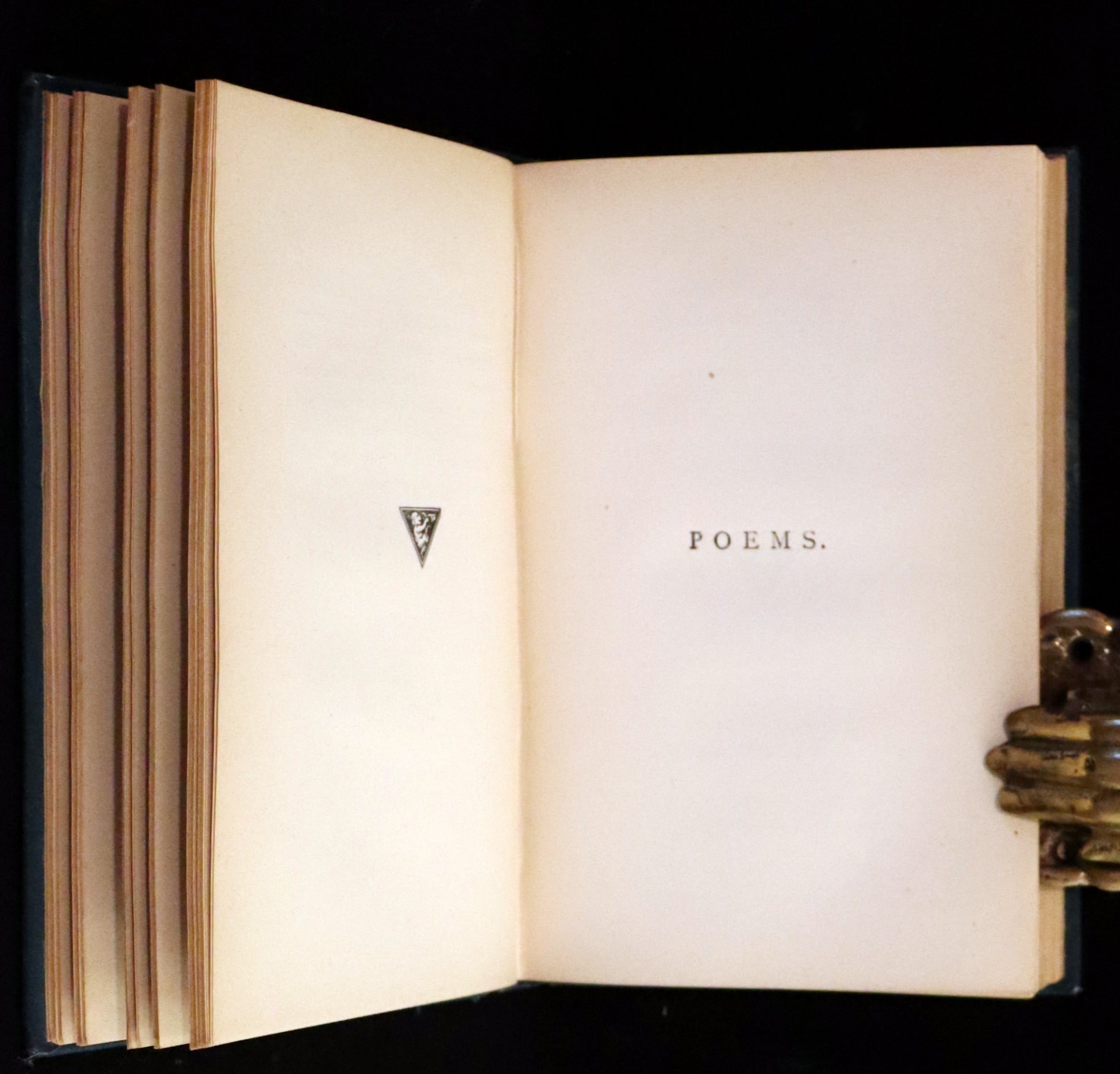 1880 Rare Book - Complete Poems by Edgar Allan POE (The Raven, Lenore ...