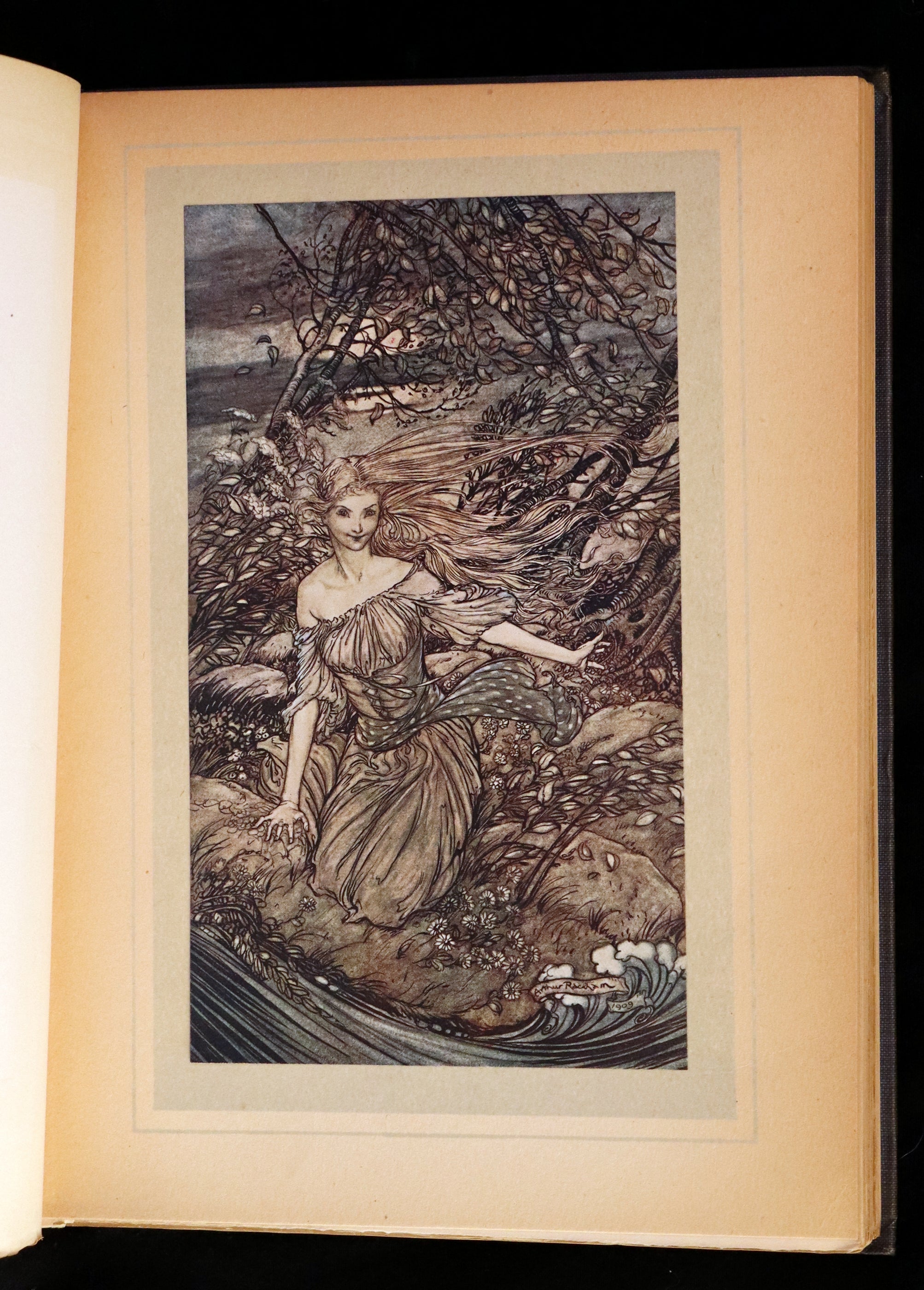 1909 Rare First Edition - Undine by De La Motte Fouque, illustrated by ...