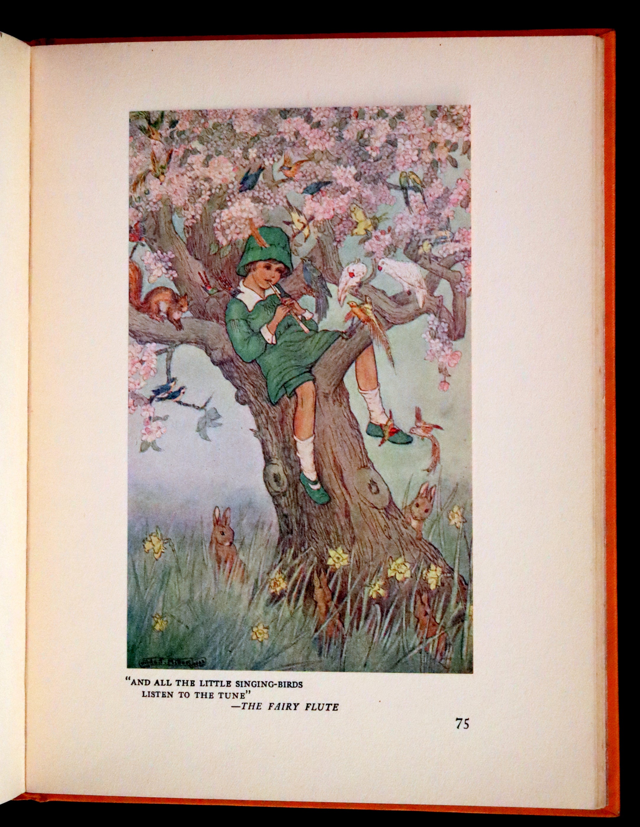 1923 Rare First Edition - The Rose Fyleman Fairy Book Illustrated by H ...