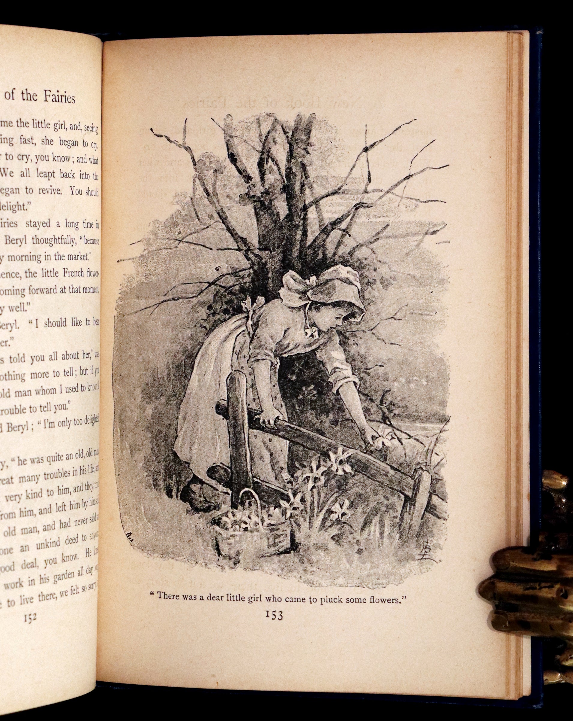 1897 Scarce book ~ A New Book Of The Fairies By Beatrice Harraden ...