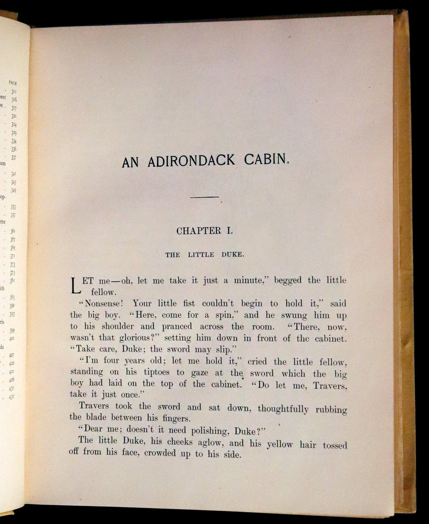 1890 Rare 1stED Book ~ An Adirondack Cabin by Margaret Sidney — MFLIBRA ...