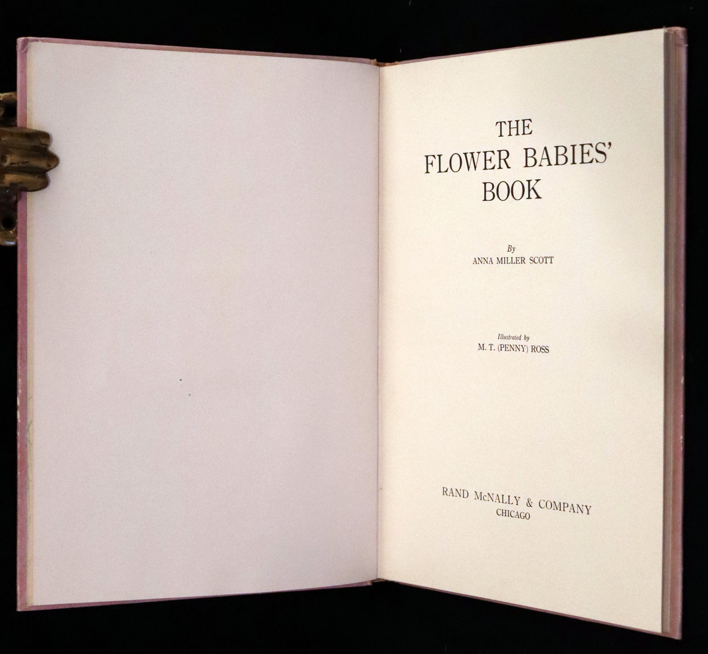 1914 Rare First Edition - The Flower Babies' Book by Anna M. Scott ill ...