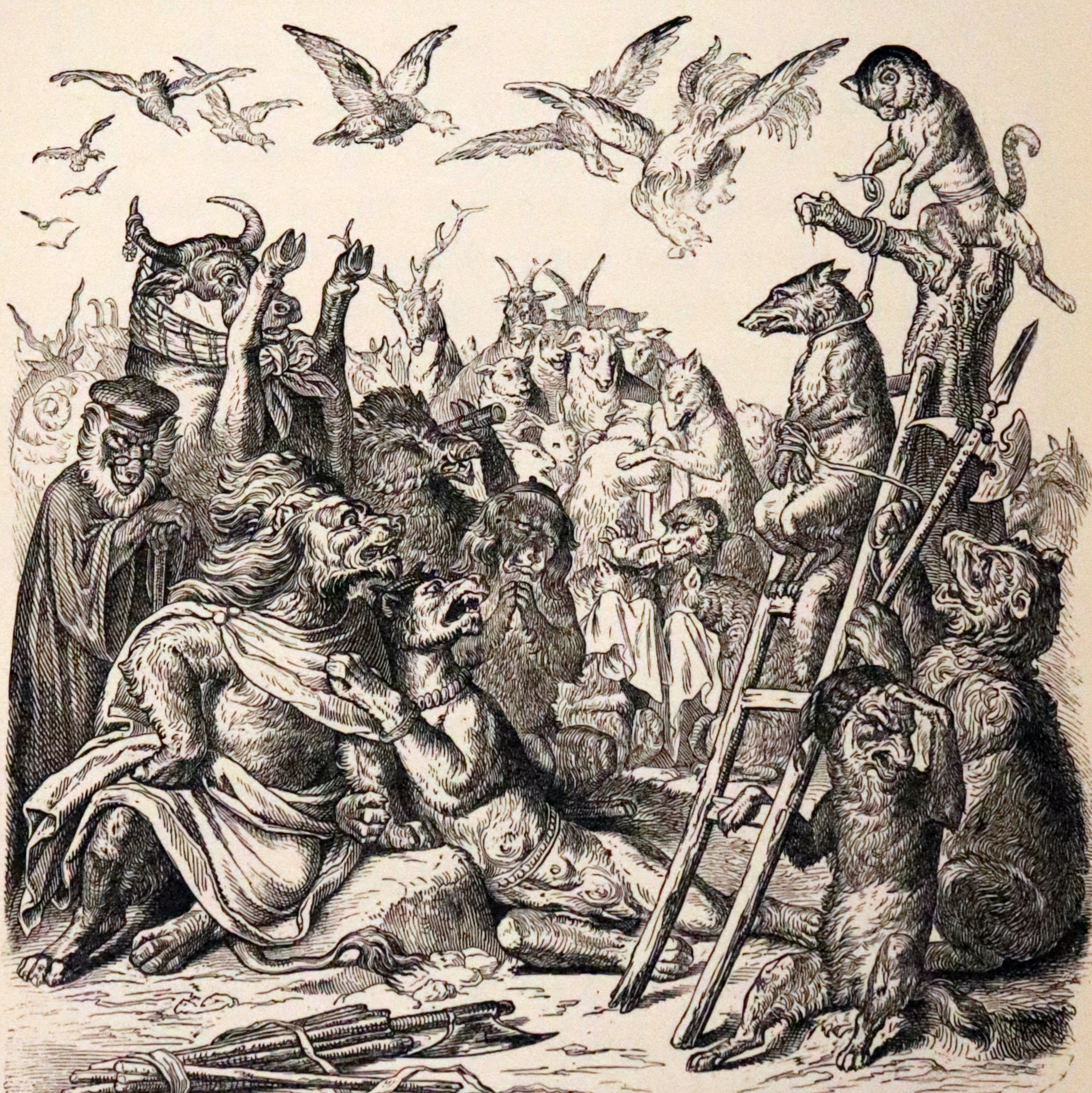 1886 Rare Book - Reynard The Fox, An Old Medieval Story Retold by Mme ...