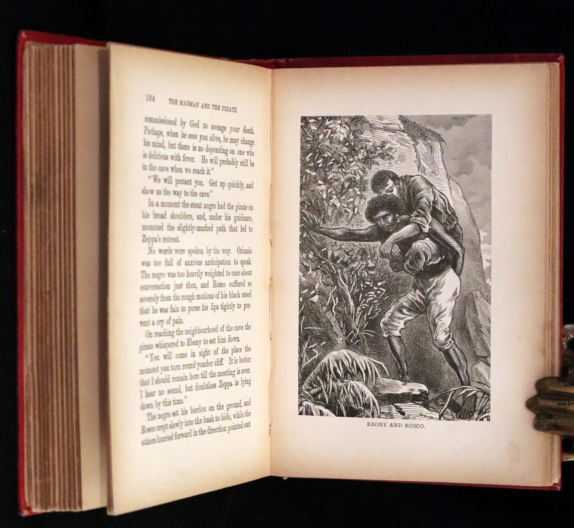 1890 Rare Victorian Book - The Madman and the Pirate by Robert Michael ...