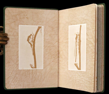 1937 Rare First Edition - The Dragonflies of the British Isles by ...