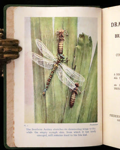 1937 Rare First Edition - The Dragonflies of the British Isles by ...