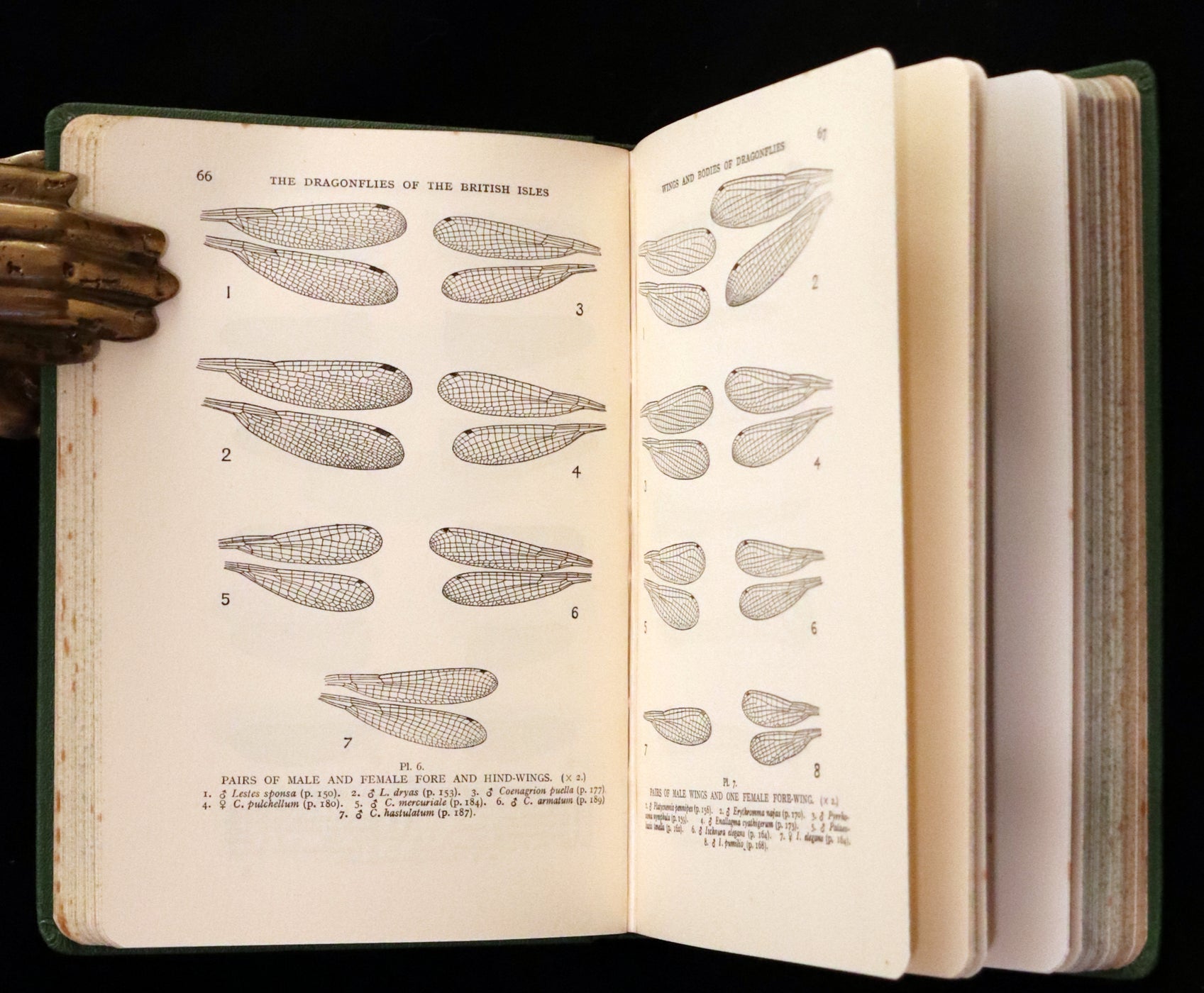 1937 Rare First Edition - The Dragonflies of the British Isles by ...