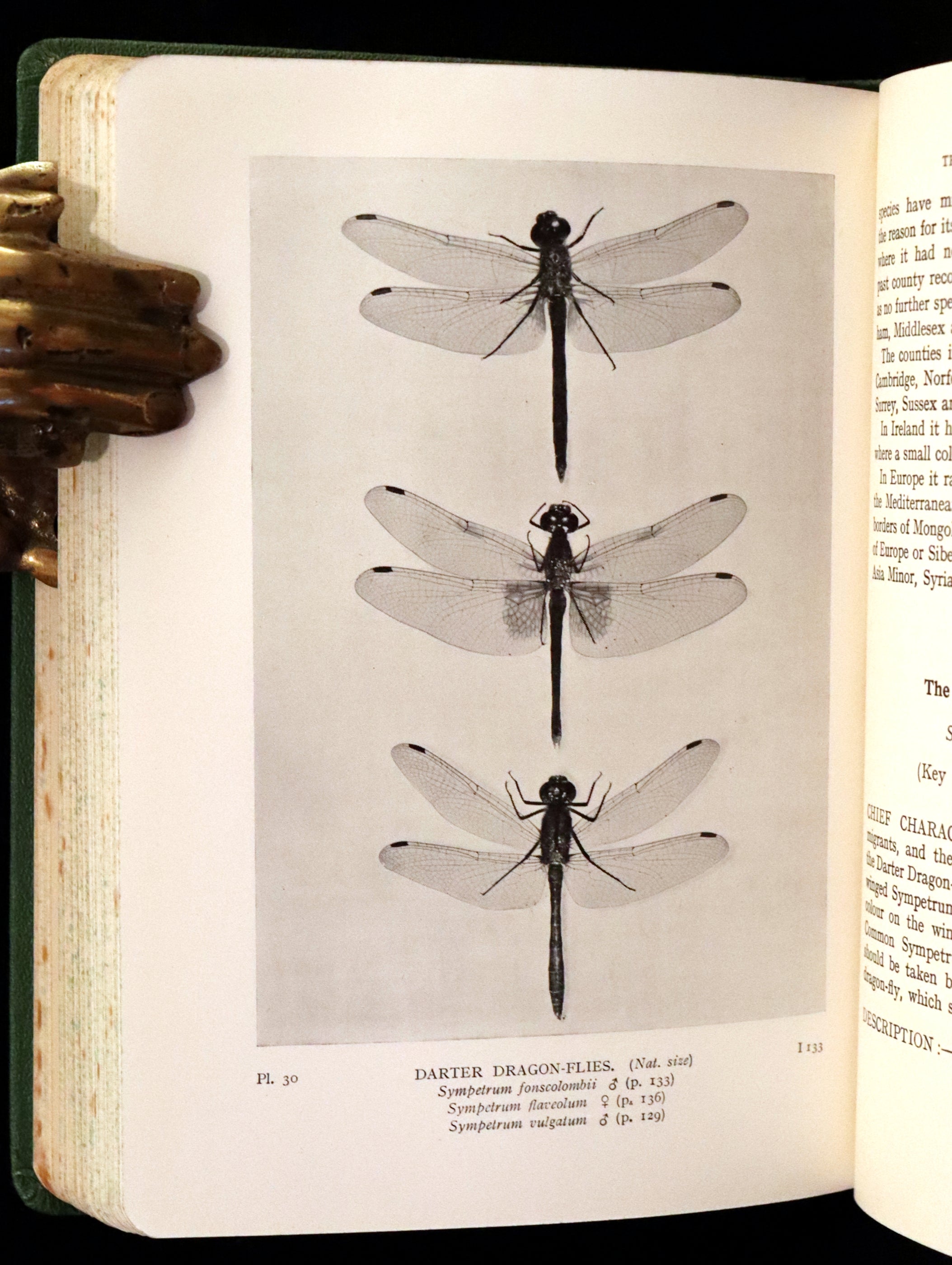 1937 Rare First Edition - The Dragonflies of the British Isles by ...