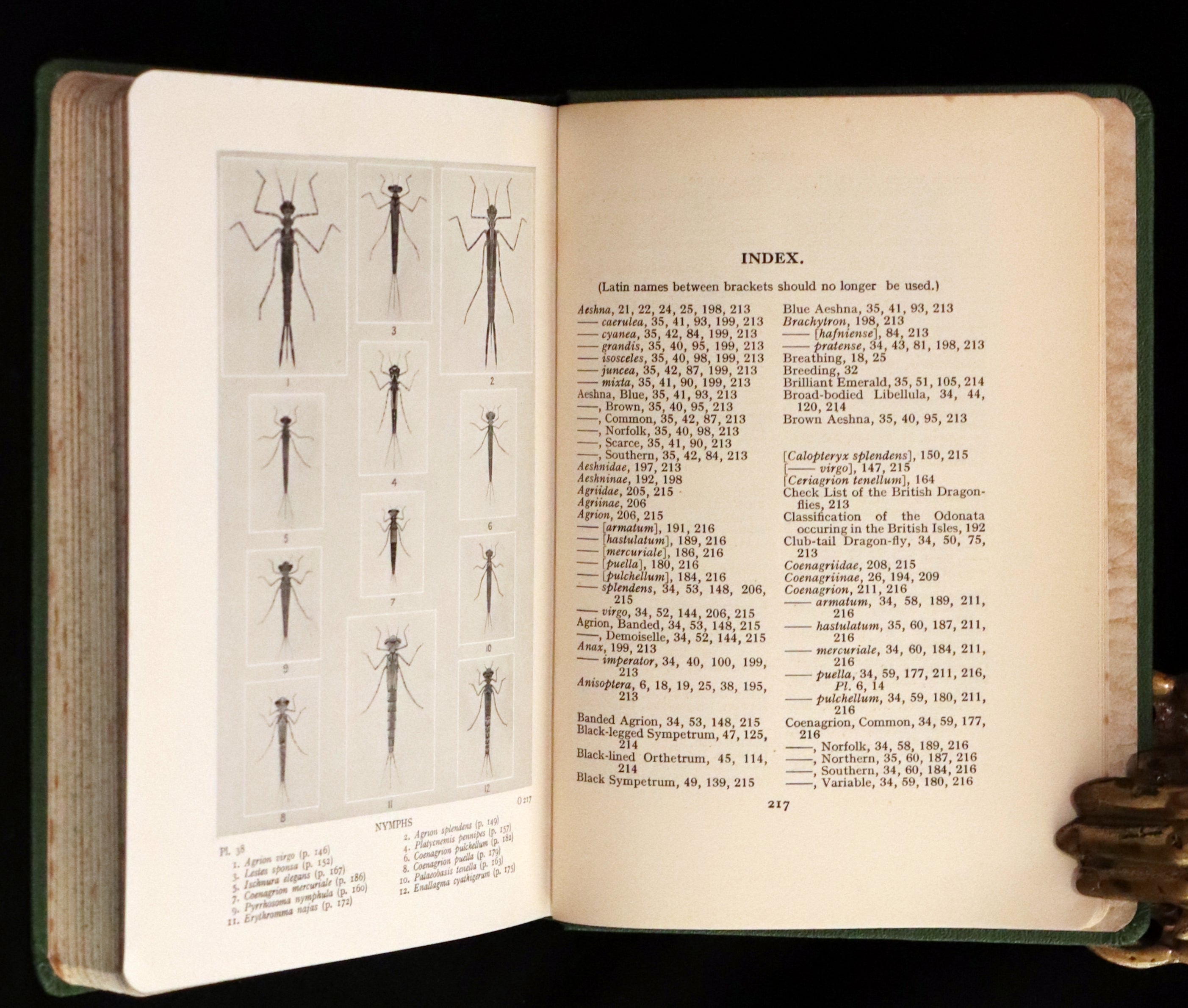 1937 Rare First Edition - The Dragonflies of the British Isles by ...