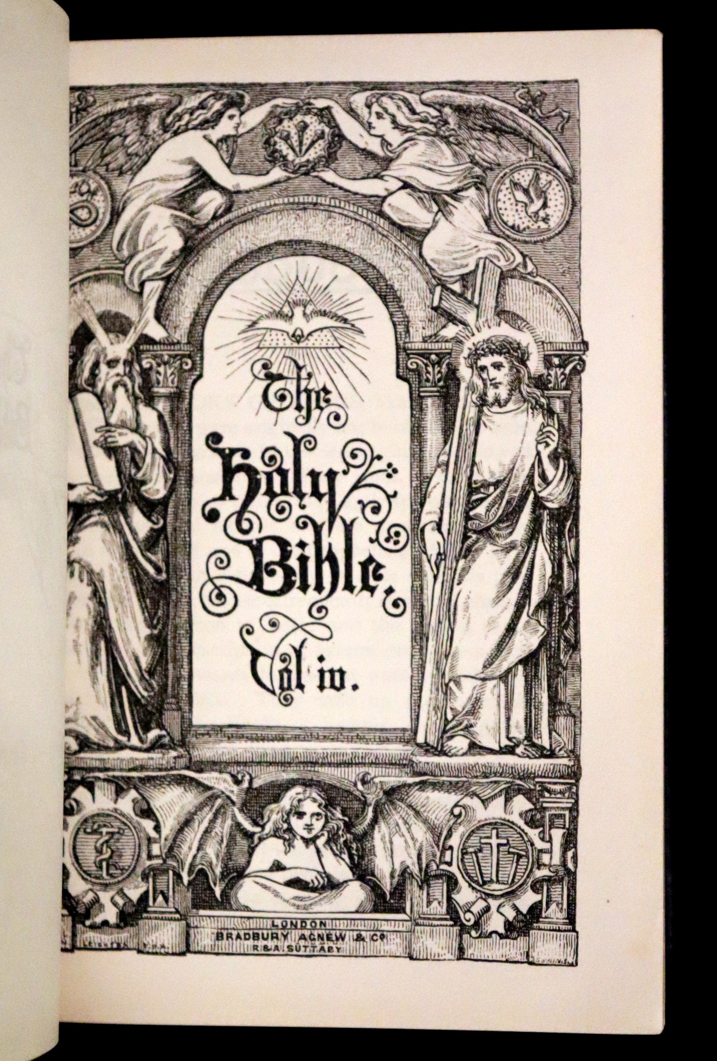 1875 Rare Victorian Edition - Holy Bible (11 Volume Box Set) Old and N ...