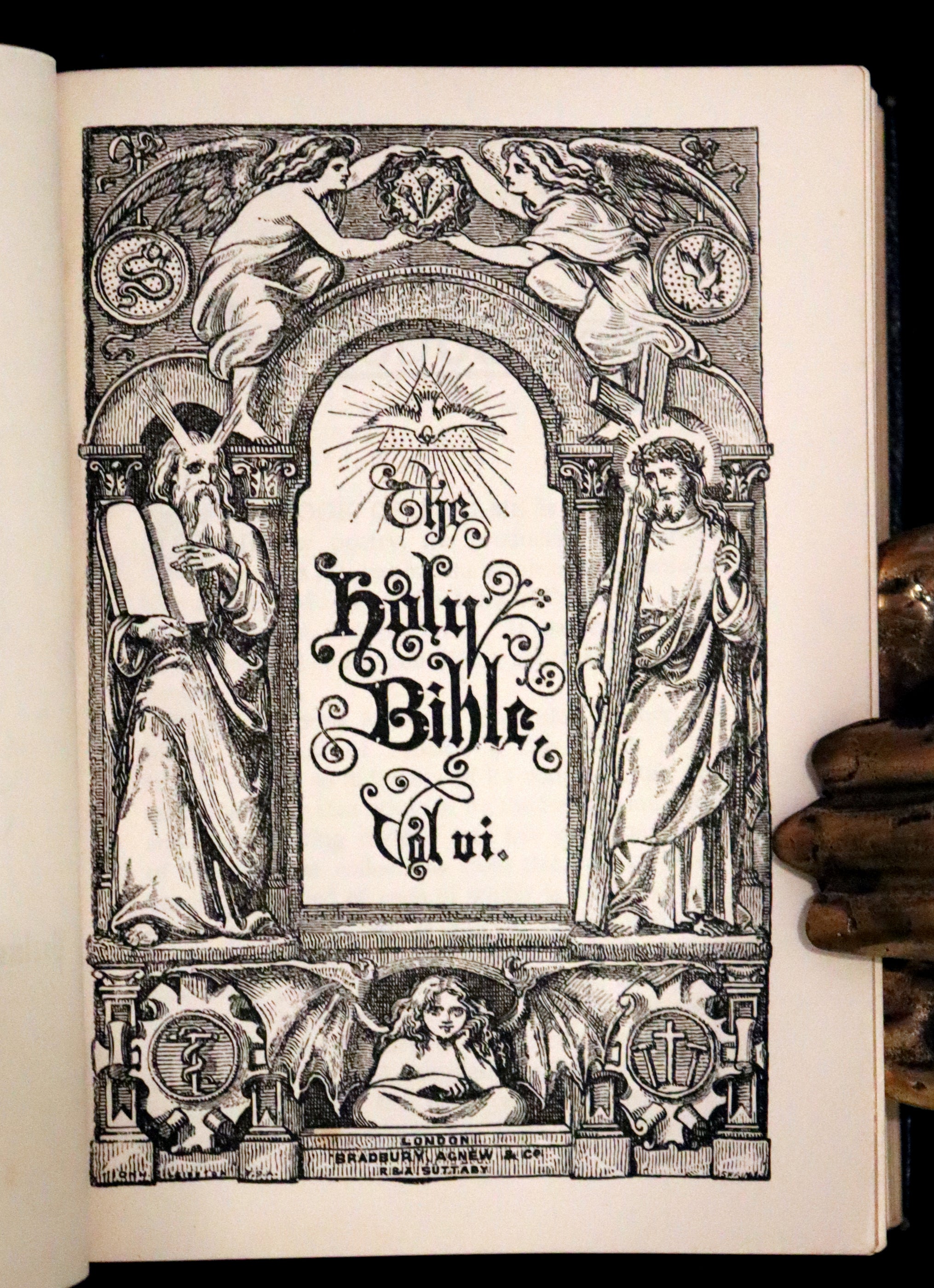 1875 Rare Victorian Edition - Holy Bible (11 Volume Box Set) Old and N ...