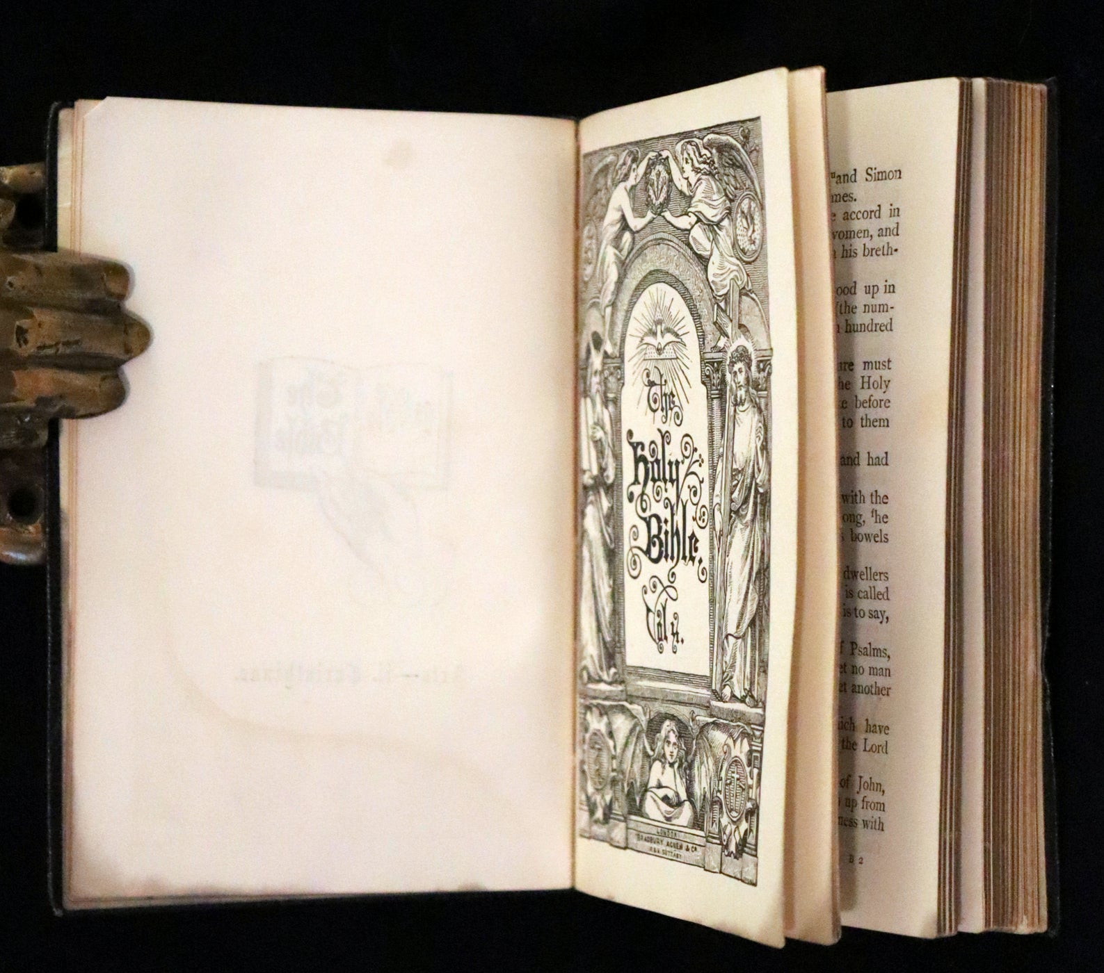 1875 Rare Victorian Edition - Holy Bible (11 Volume Box Set) Old and N ...