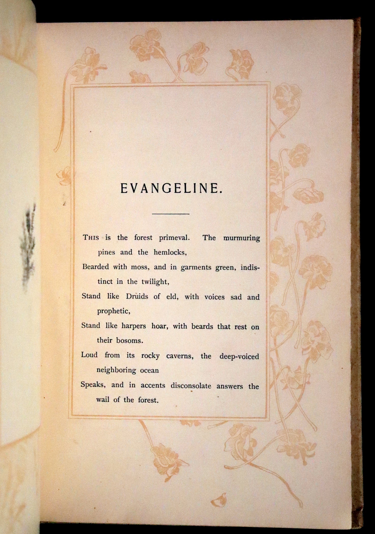 1893 Rare Victorian Book - Evangeline, A tale of Acadie by Henry ...
