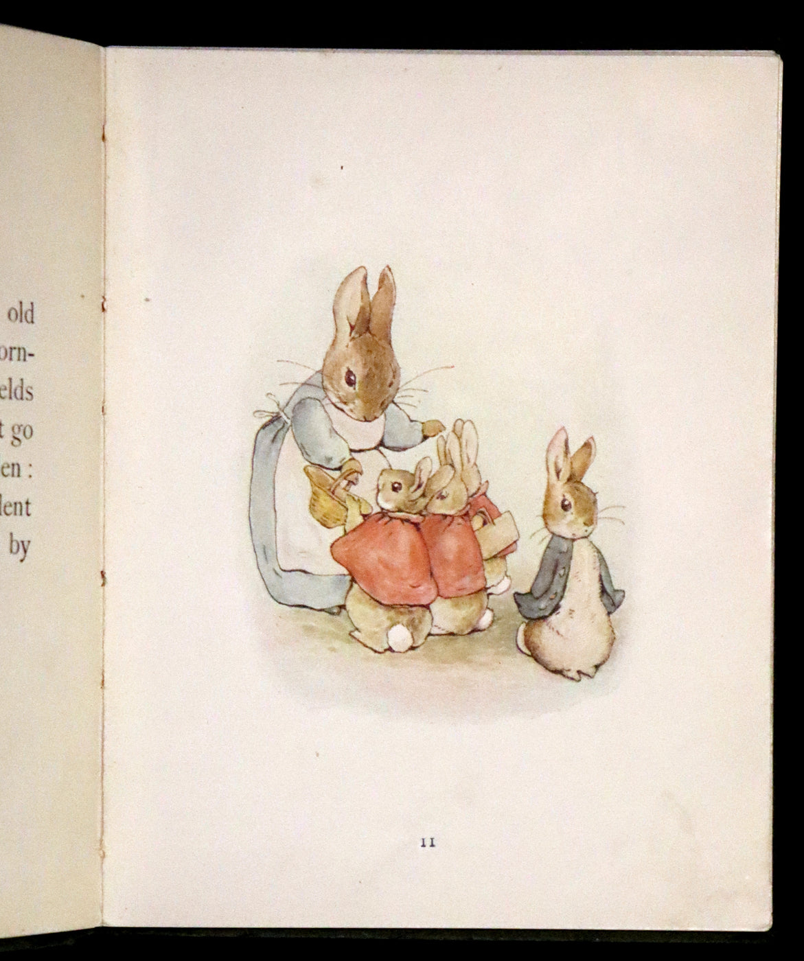 1906 Rare Early Edition - The Tale of Peter Rabbit written and ...