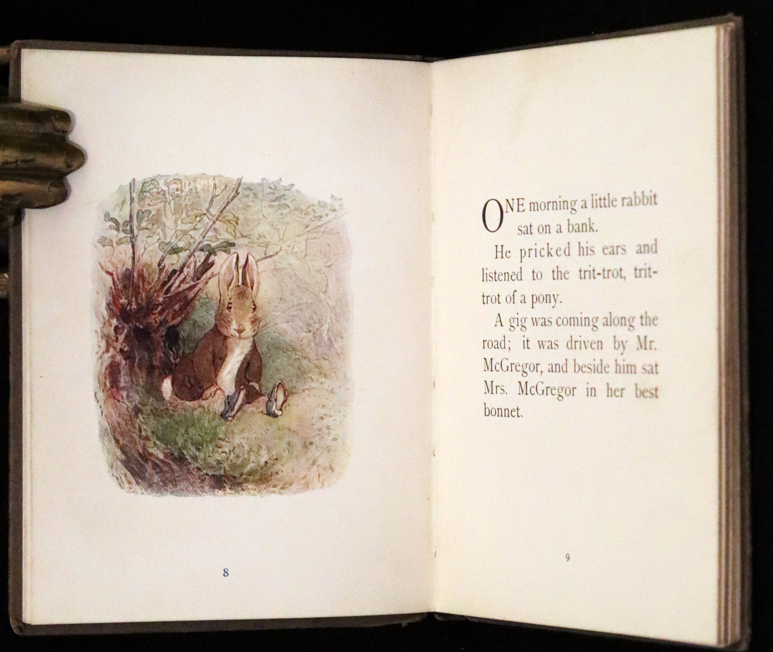 1904 First US Edition - The Tale of Benjamin Bunny by Beatrix Potter ...