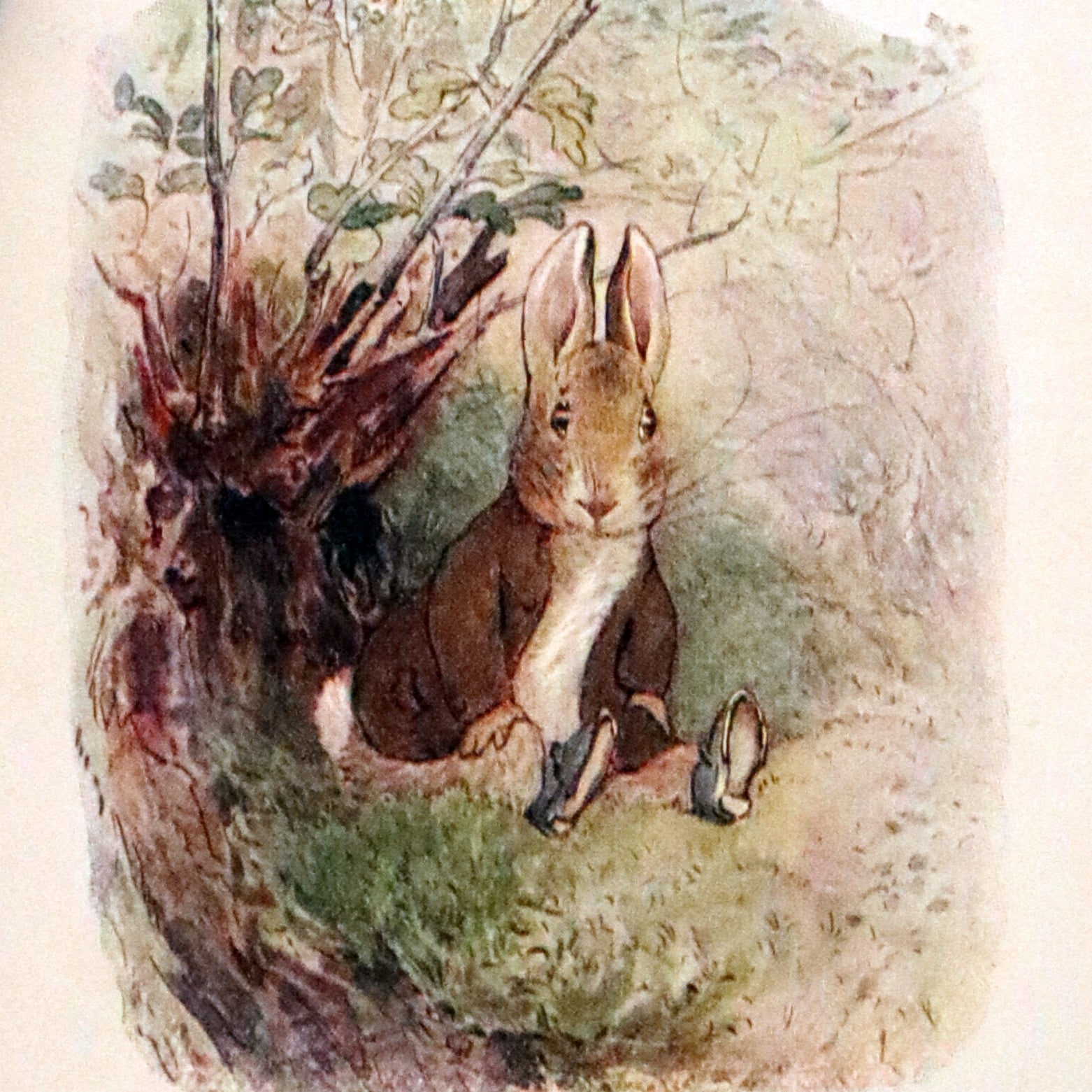 1904 First US Edition - The Tale of Benjamin Bunny by Beatrix Potter ...