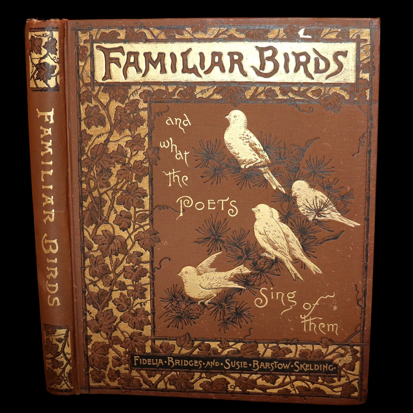 1886 Scarce Victorian Skelding Book ~ Familiar Birds and What the Poets ...