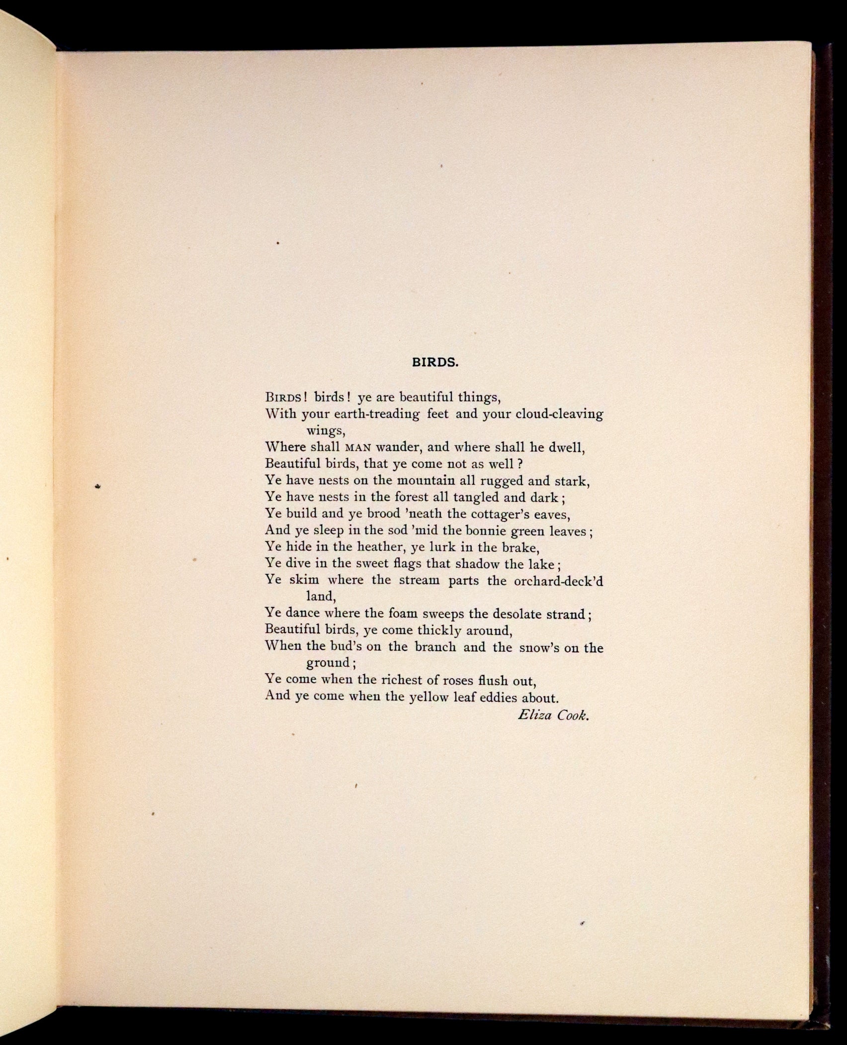 1886 Scarce Victorian Skelding Book ~ Familiar Birds and What the Poets ...