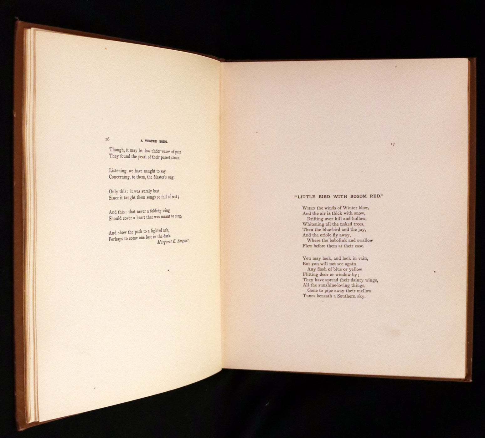 1886 Scarce Victorian Skelding Book ~ Familiar Birds and What the Poets ...
