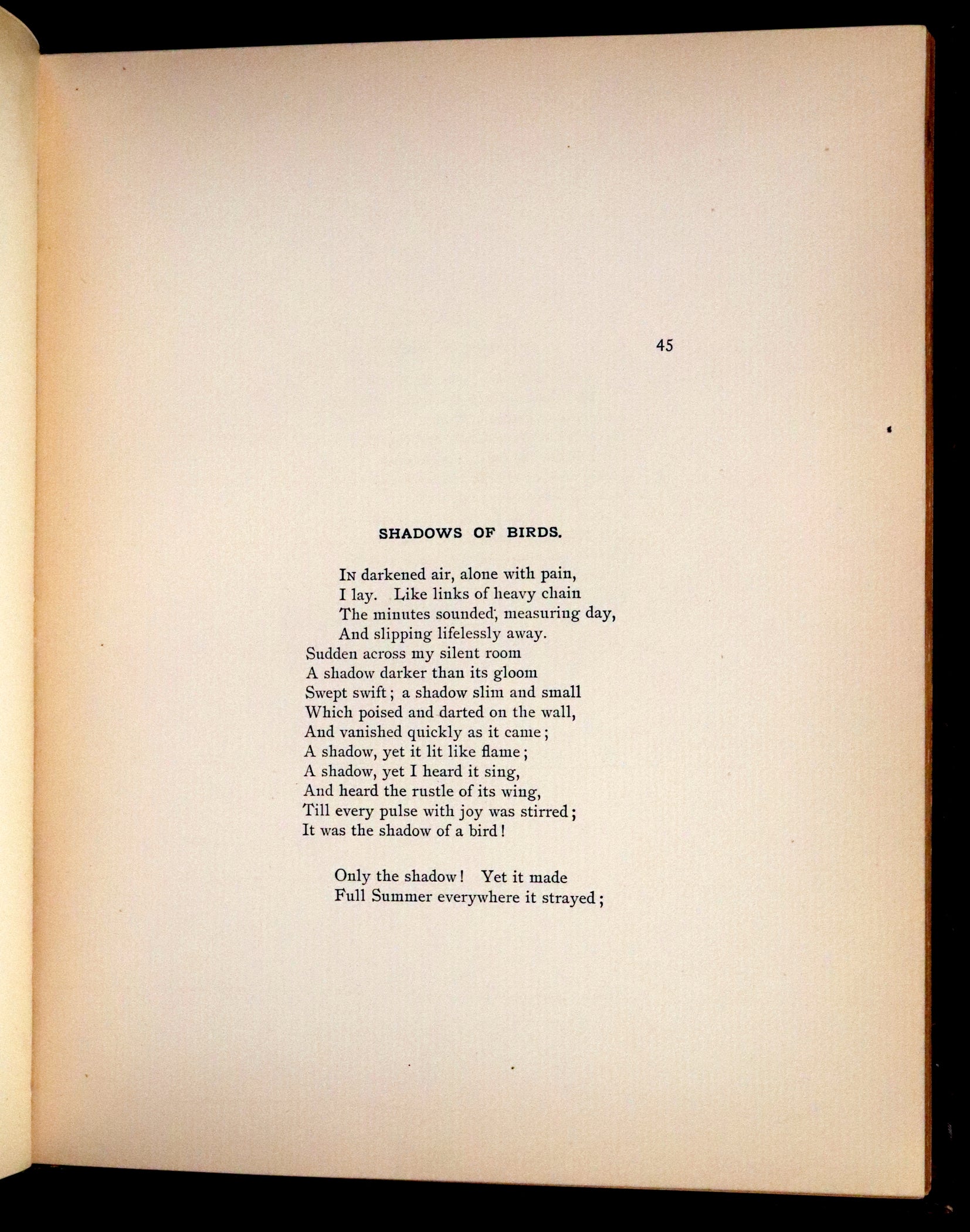 1886 Scarce Victorian Skelding Book ~ Familiar Birds and What the Poets ...