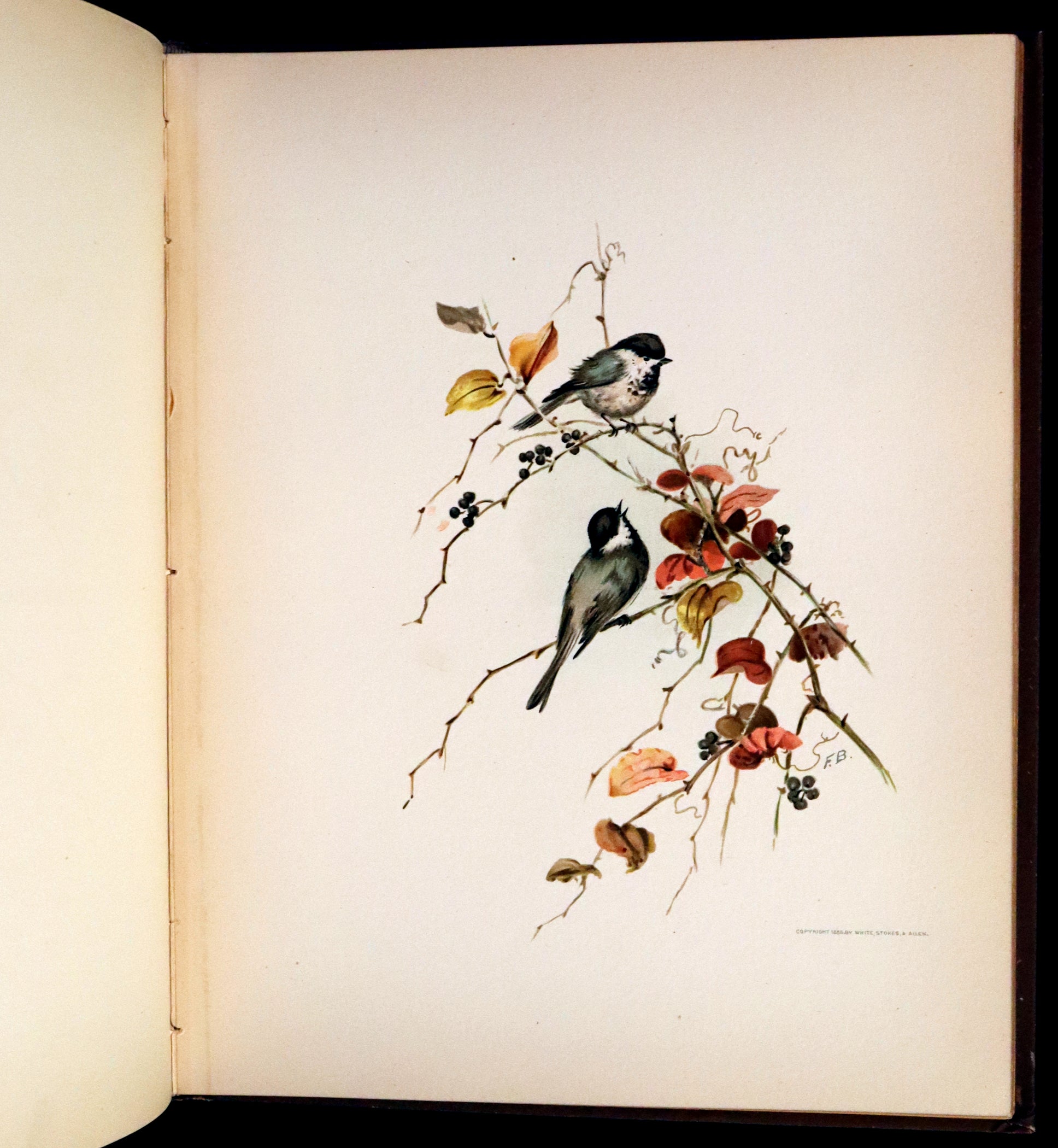 1886 Scarce Victorian Skelding Book ~ Familiar Birds and What the Poets ...