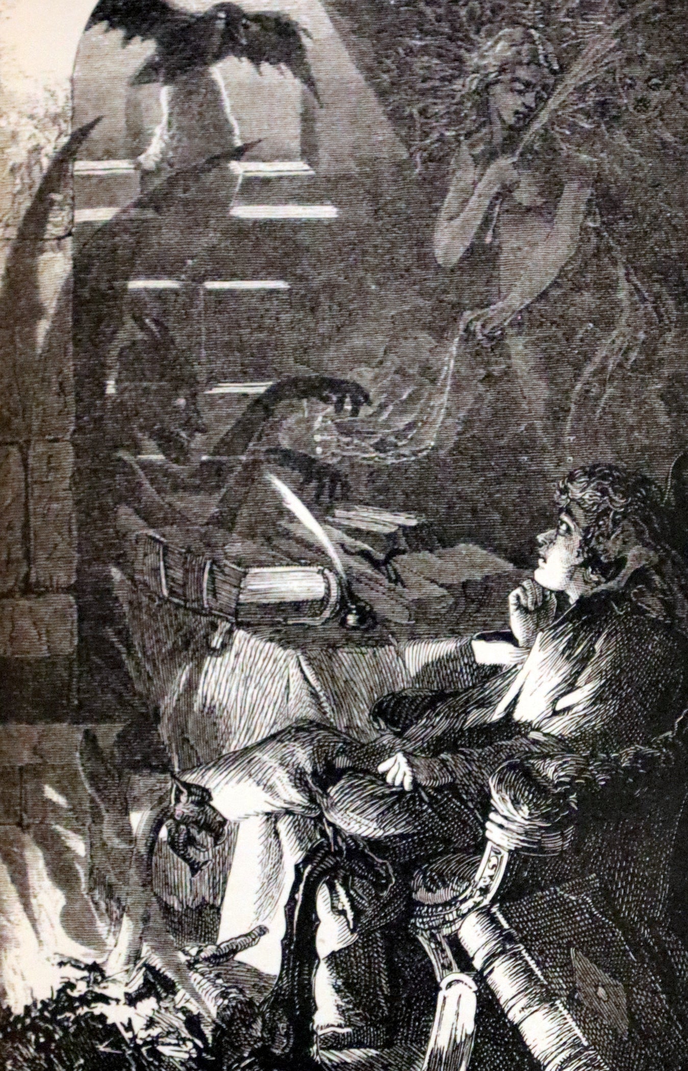 1882 Rare Book - Poems by Edgar Allan Poe with Memoir (The Raven ...