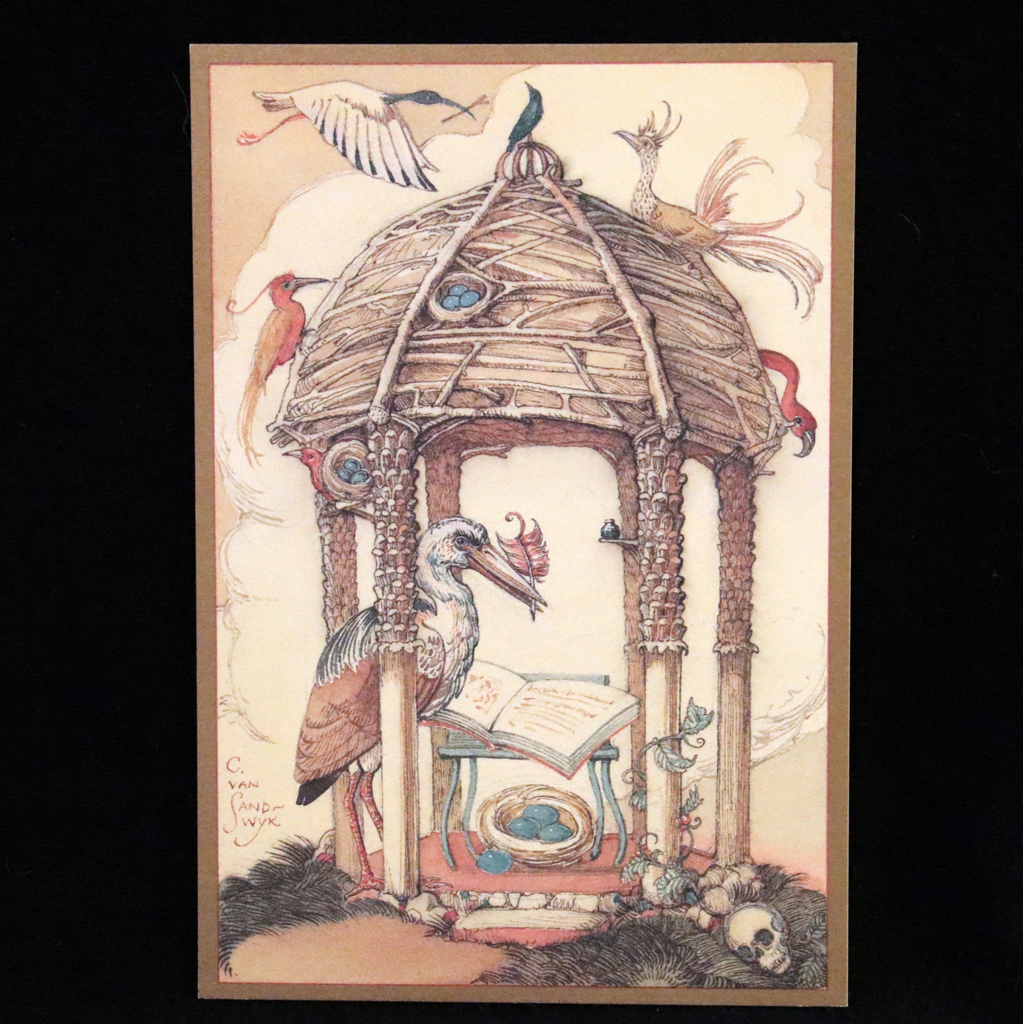 1995 Scarce First Edition - Sketches from the Dream Island of Birds, p ...