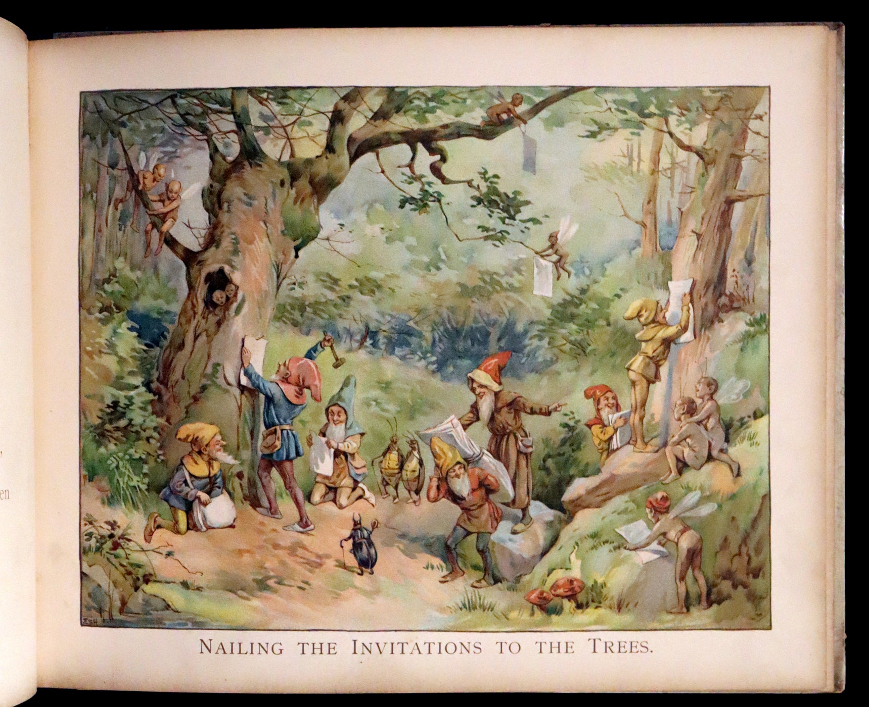 1900 Rare First Edition - The Book of Gnomes by Fred E. Weatherly ...