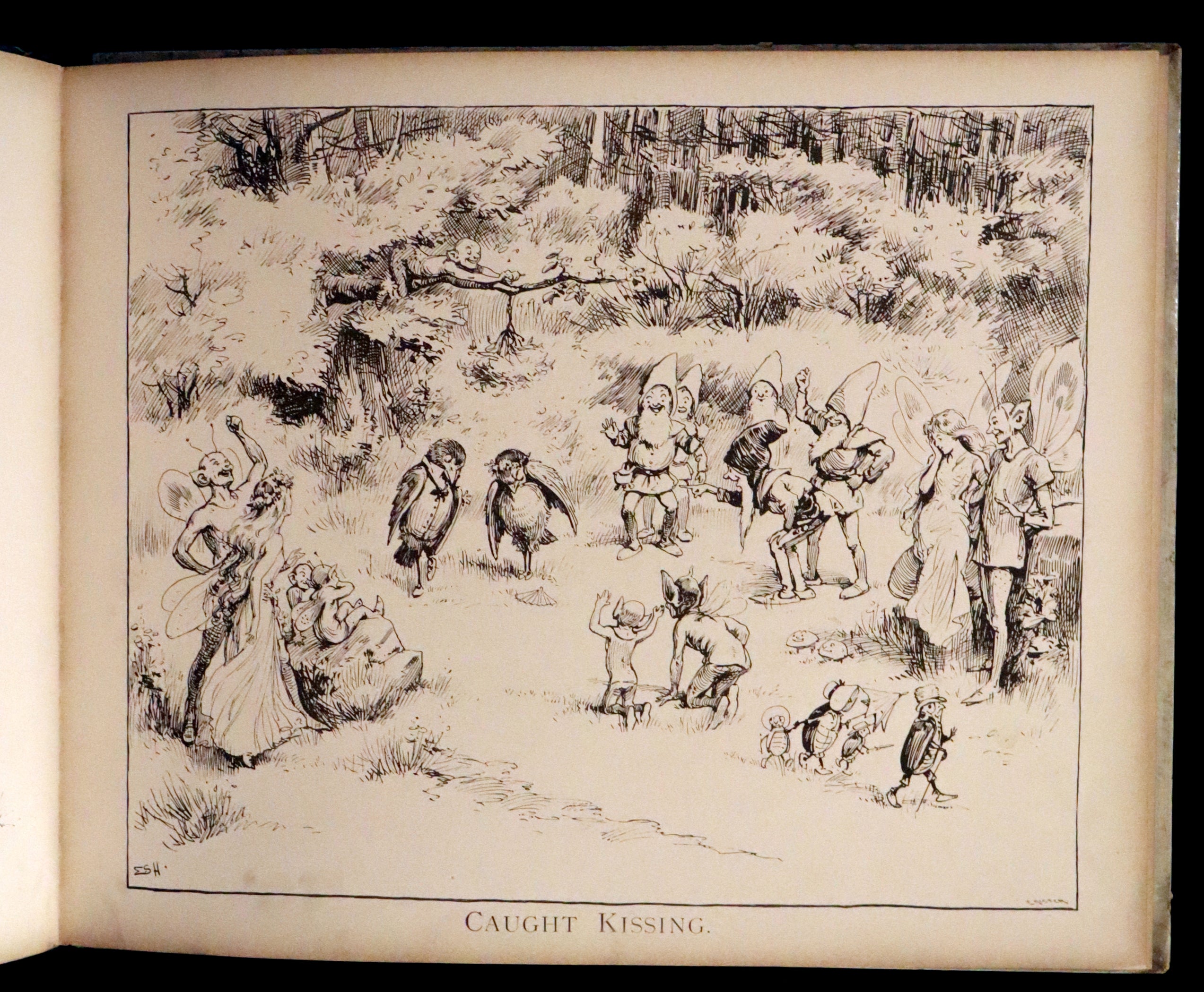 1900 Rare First Edition - The Book of Gnomes by Fred E. Weatherly ...