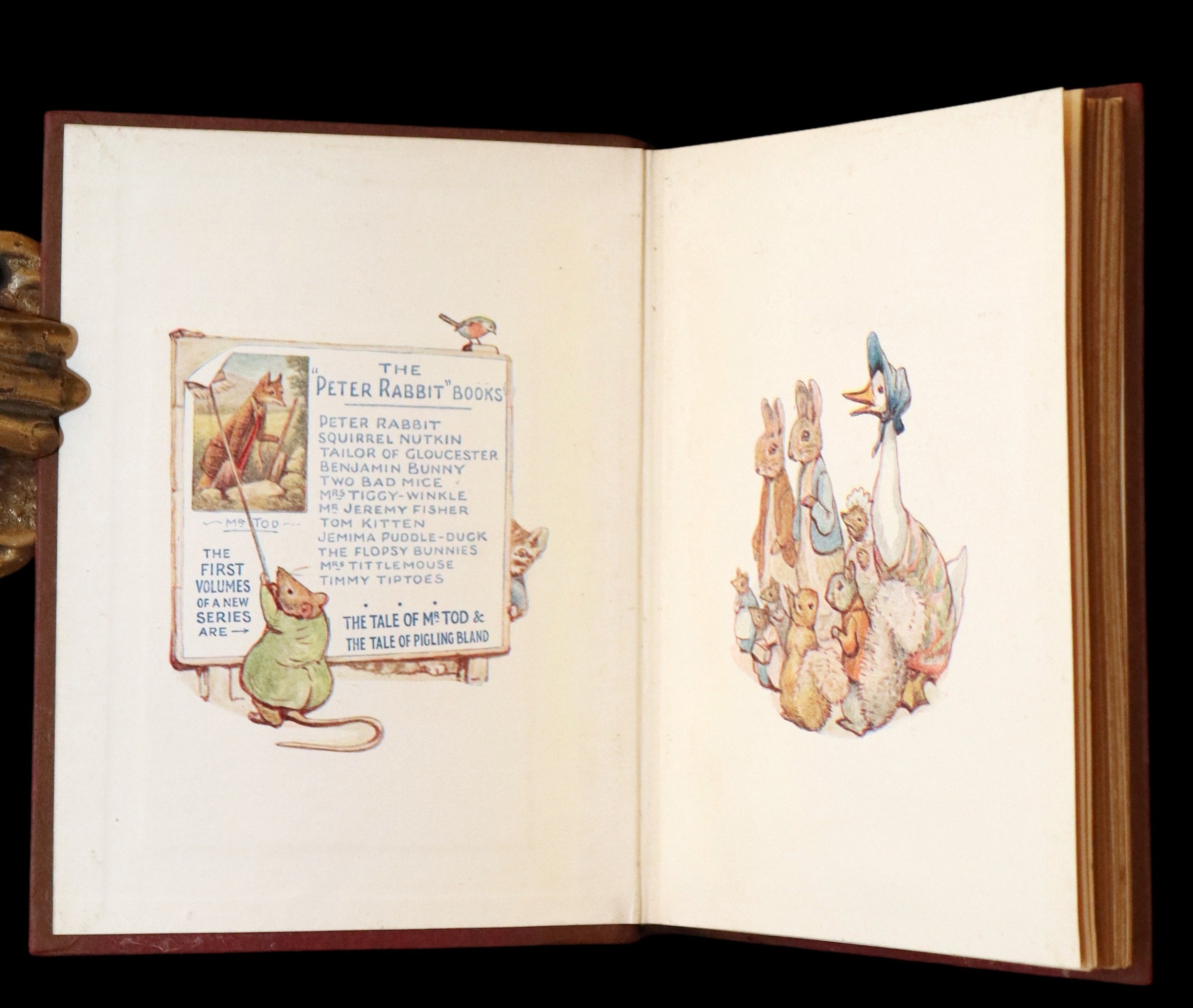 1913 Rare First Edition - The Tale of Pigling Bland by Beatrix Potter ...