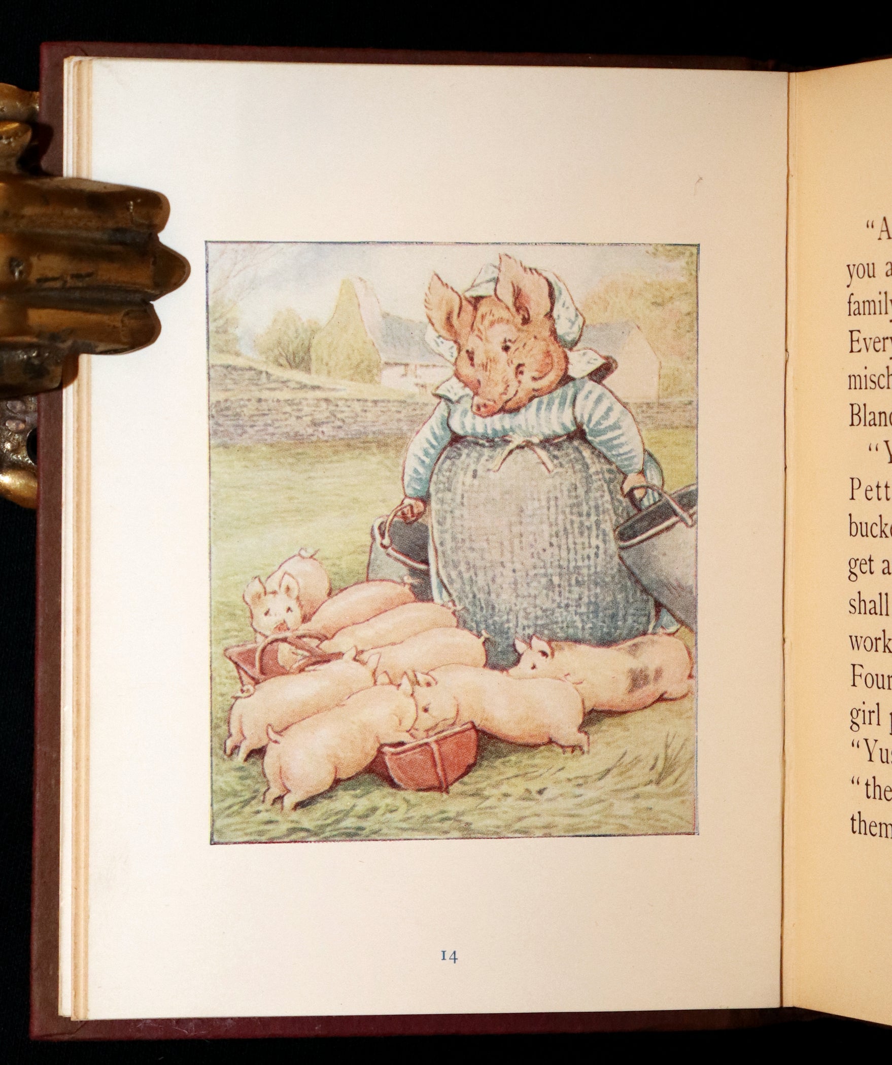 1913 Rare First Edition - The Tale of Pigling Bland by Beatrix Potter ...