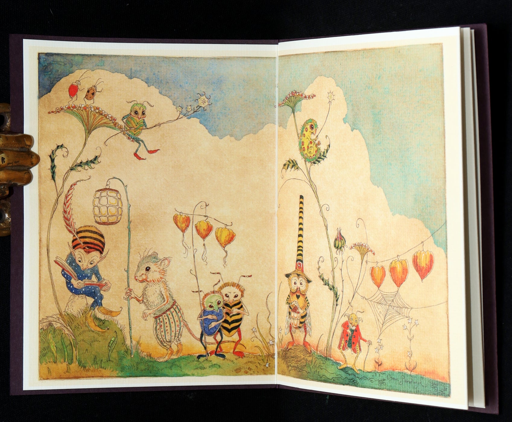 2023 Rare Signed First Edition - Will O' The Wisps by Charles van Sand — MFLIBRA - Antique Books