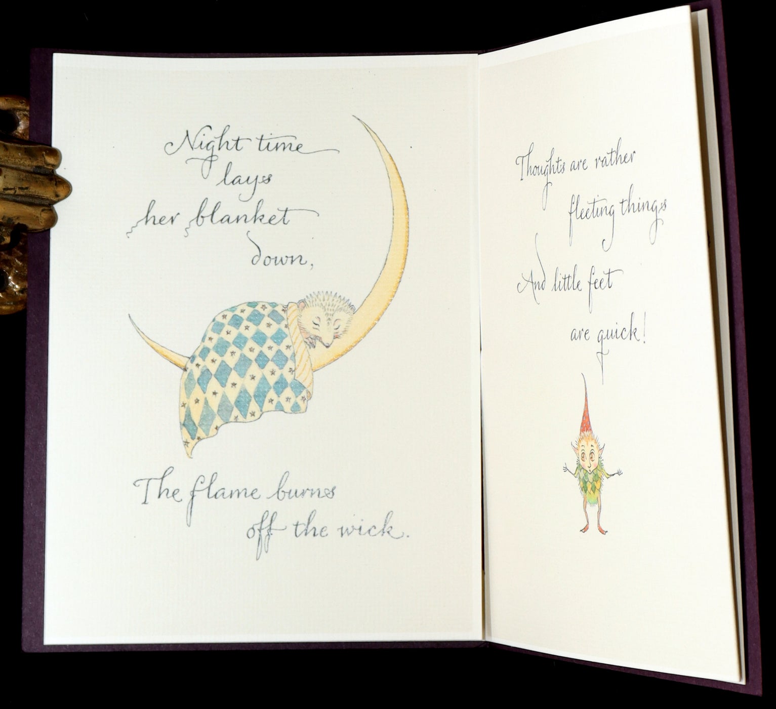 2023 Rare Signed First Edition - Will O' The Wisps by Charles van Sand — MFLIBRA - Antique Books