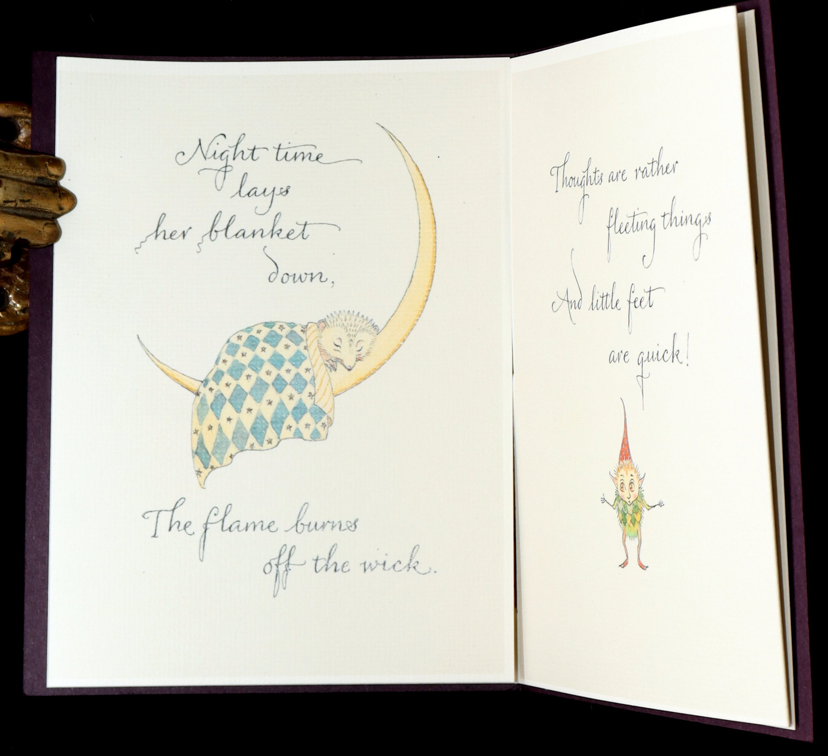 2023 Rare Signed First Edition - Will O' The Wisps by Charles van Sand — MFLIBRA - Antique Books