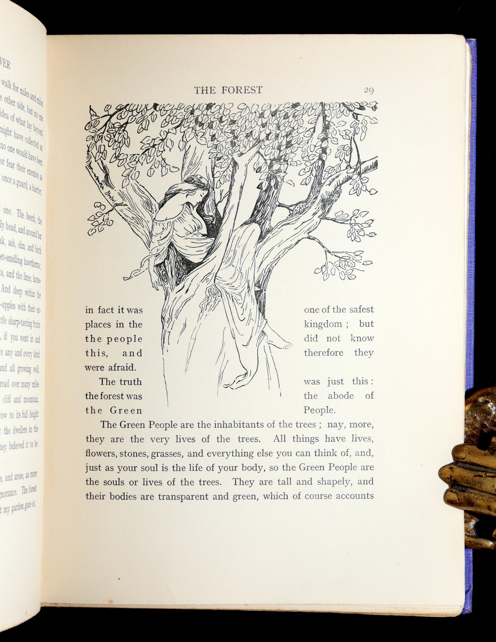 1922 Rare Book- The Flame Flower by Phyllis Saunders and Hilda T. Mill ...